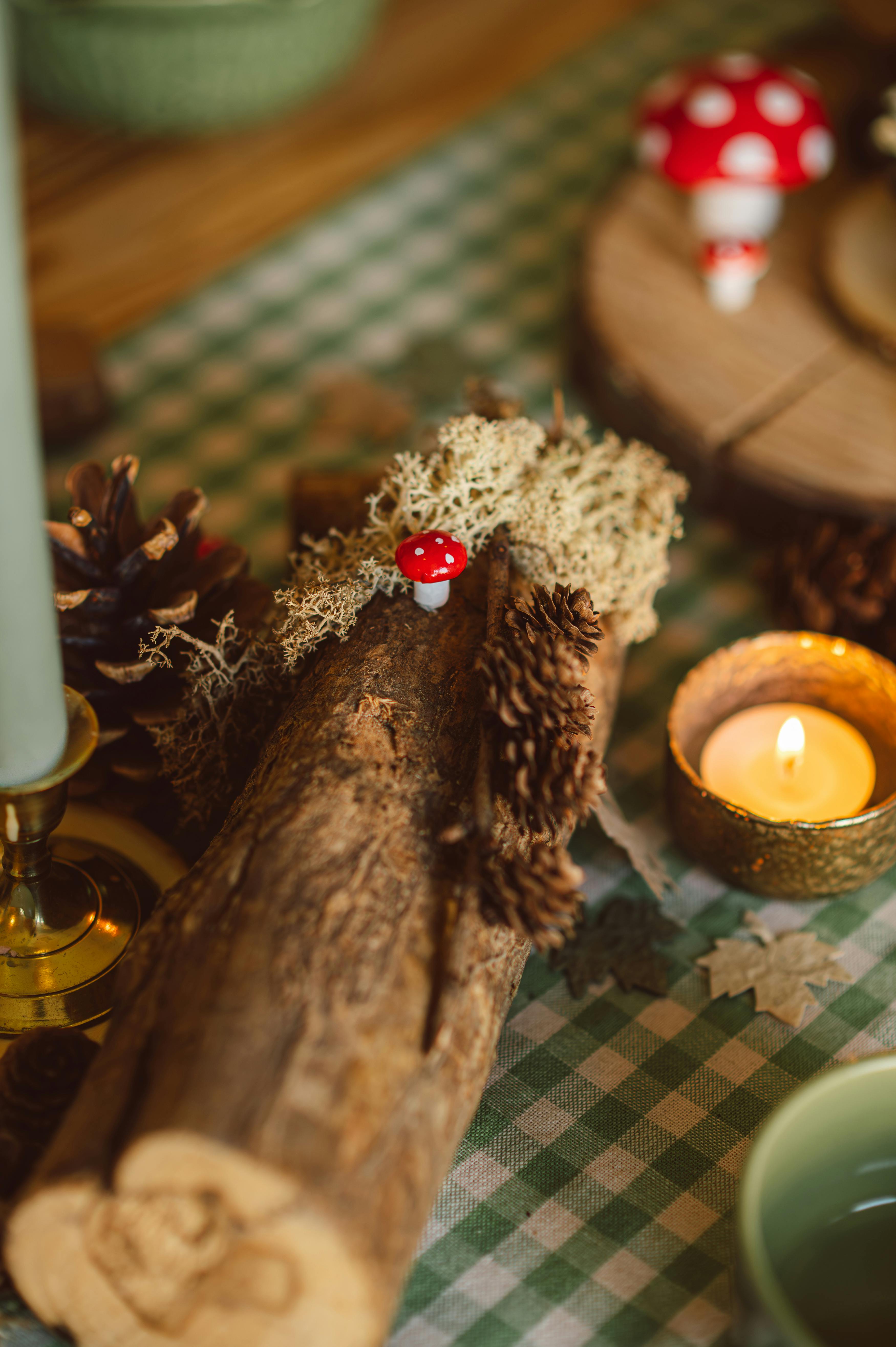 Ambient Photos, Download The BEST Free Ambient Stock Photos & HD Images