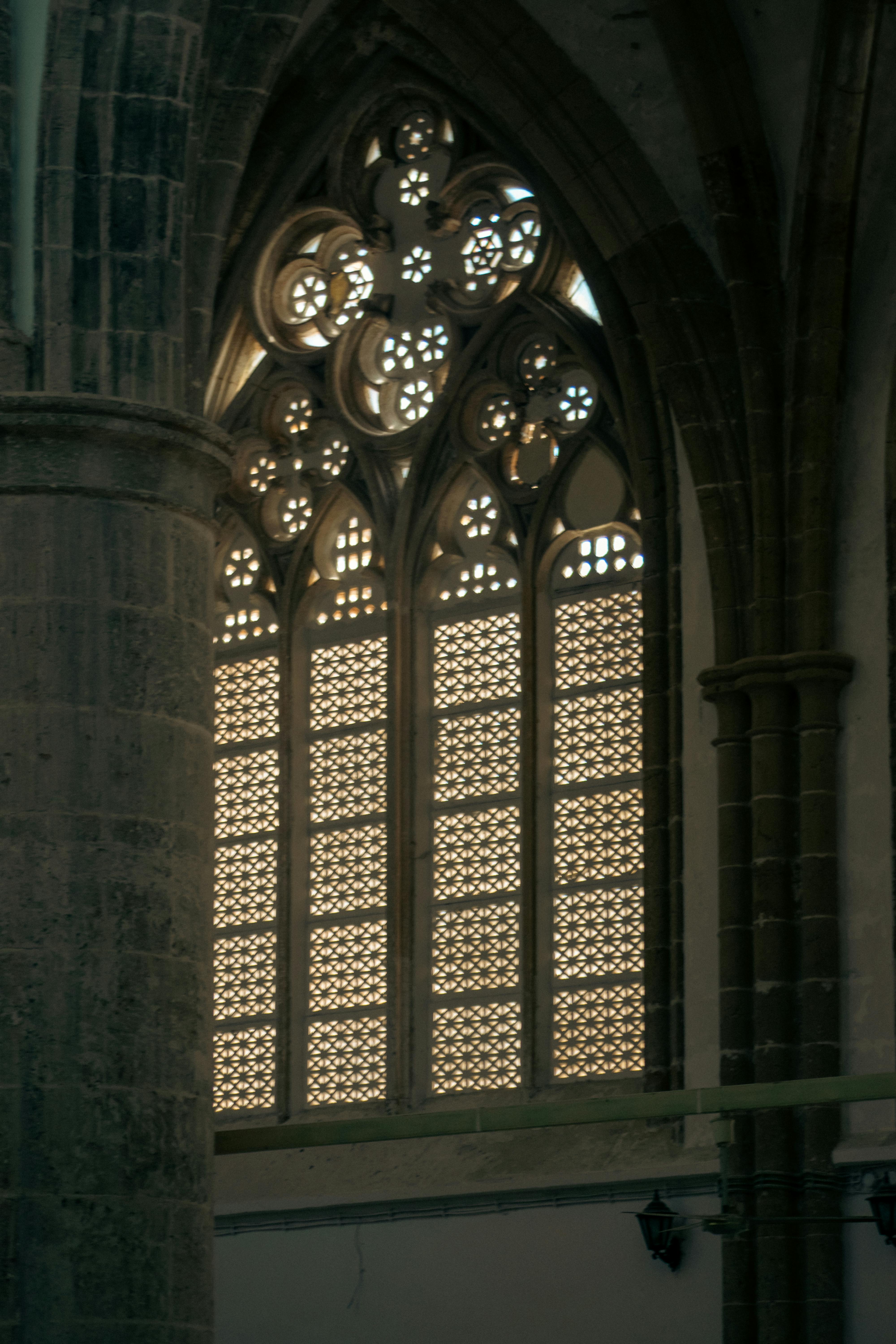 Ambient Photos, Download The BEST Free Ambient Stock Photos & HD Images