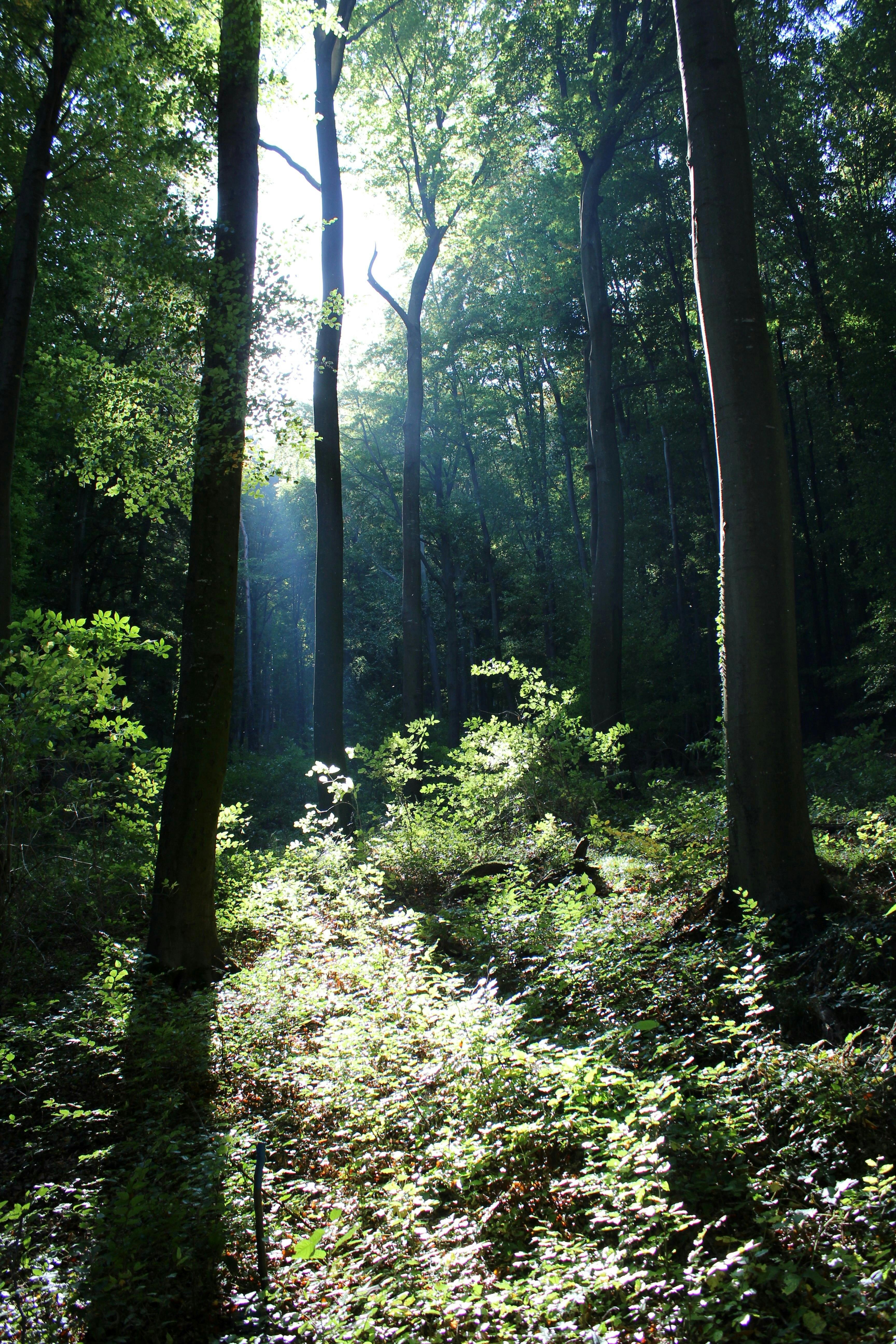 Danielle+Moss+Wallpaper Photos, Download The BEST Free Danielle+Moss ...