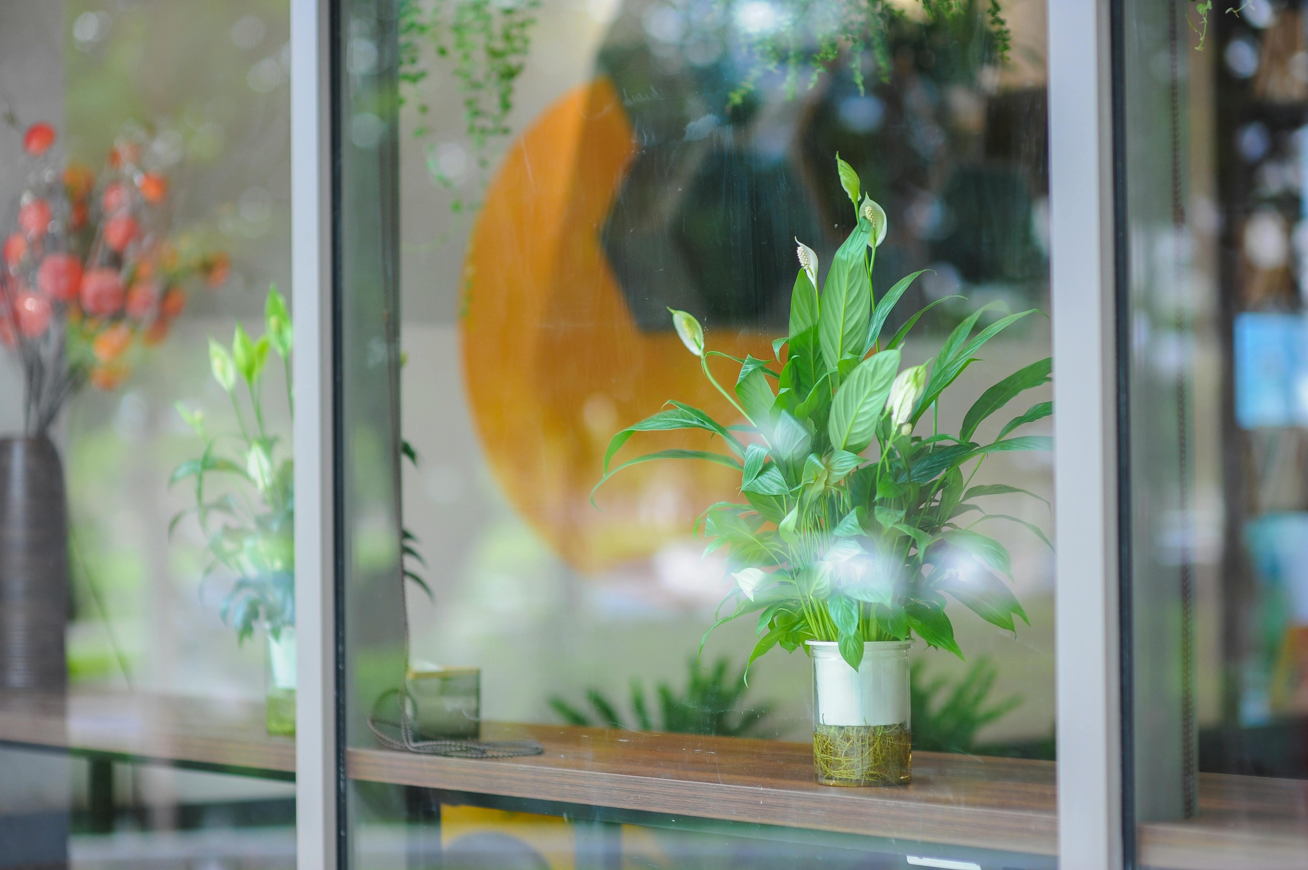 Minecraft+Live+Stream+Thumbnails+Free+No+Copyright Photos, Download The ...