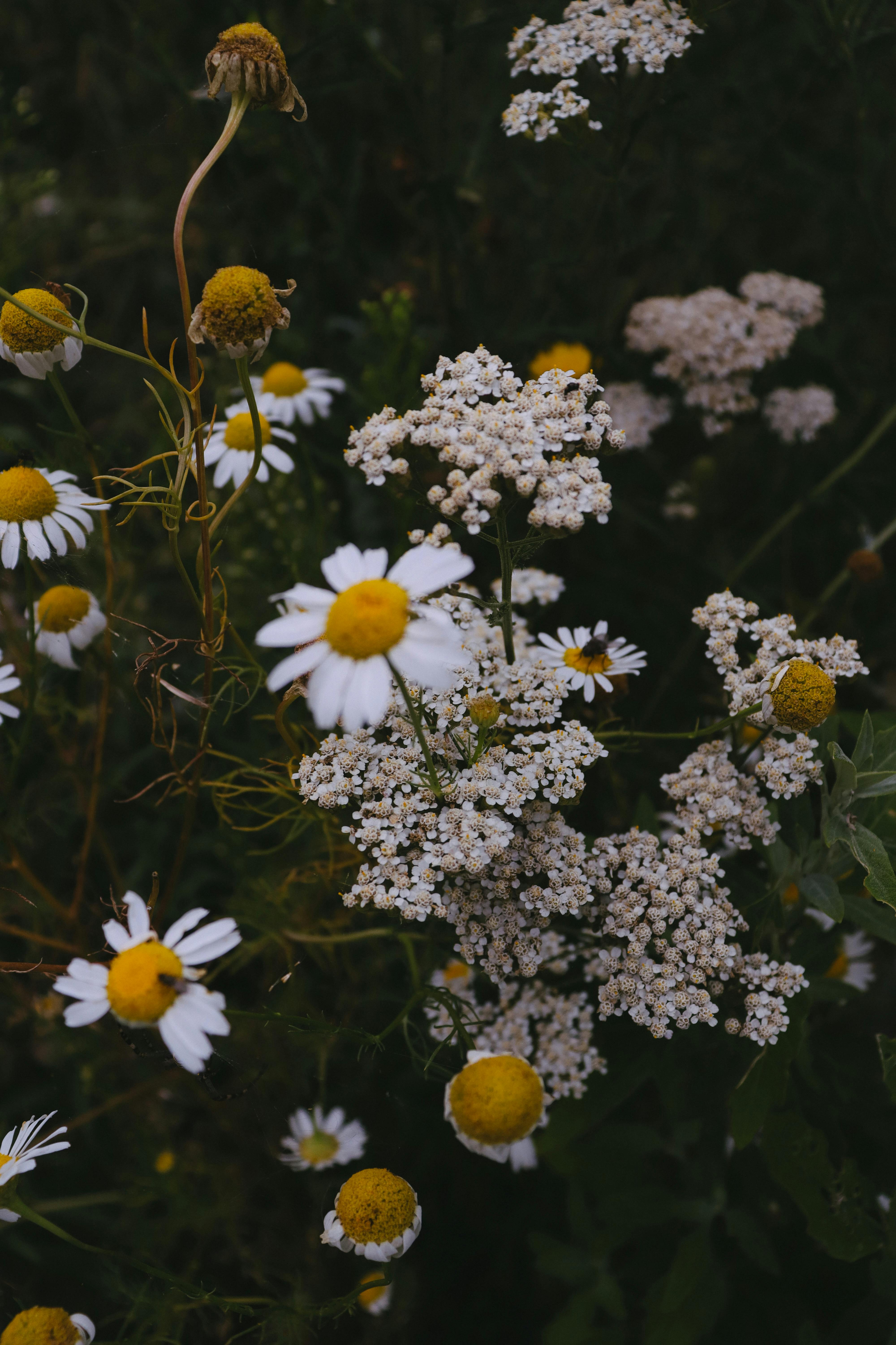 Ambient Photos, Download The BEST Free Ambient Stock Photos & HD Images