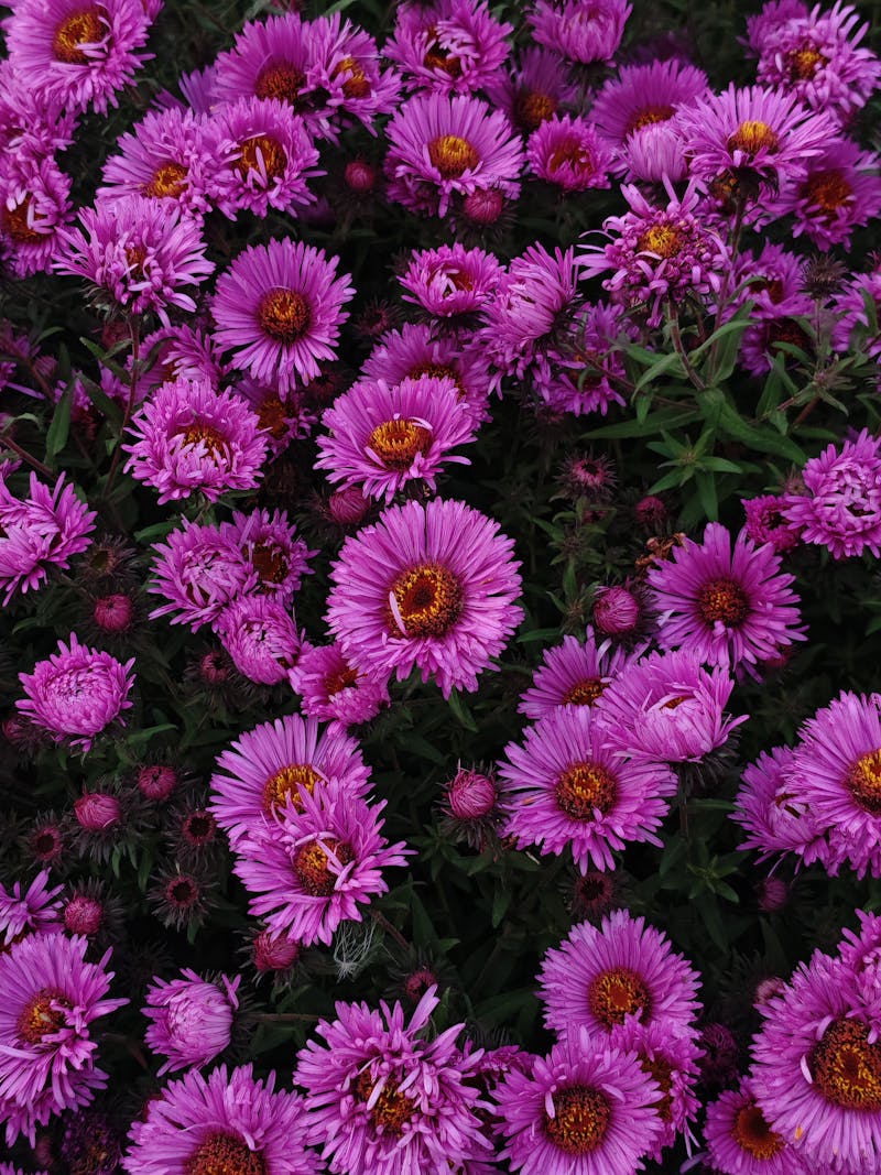 Background Tuff Photos, Download The BEST Free Background Tuff Stock ...