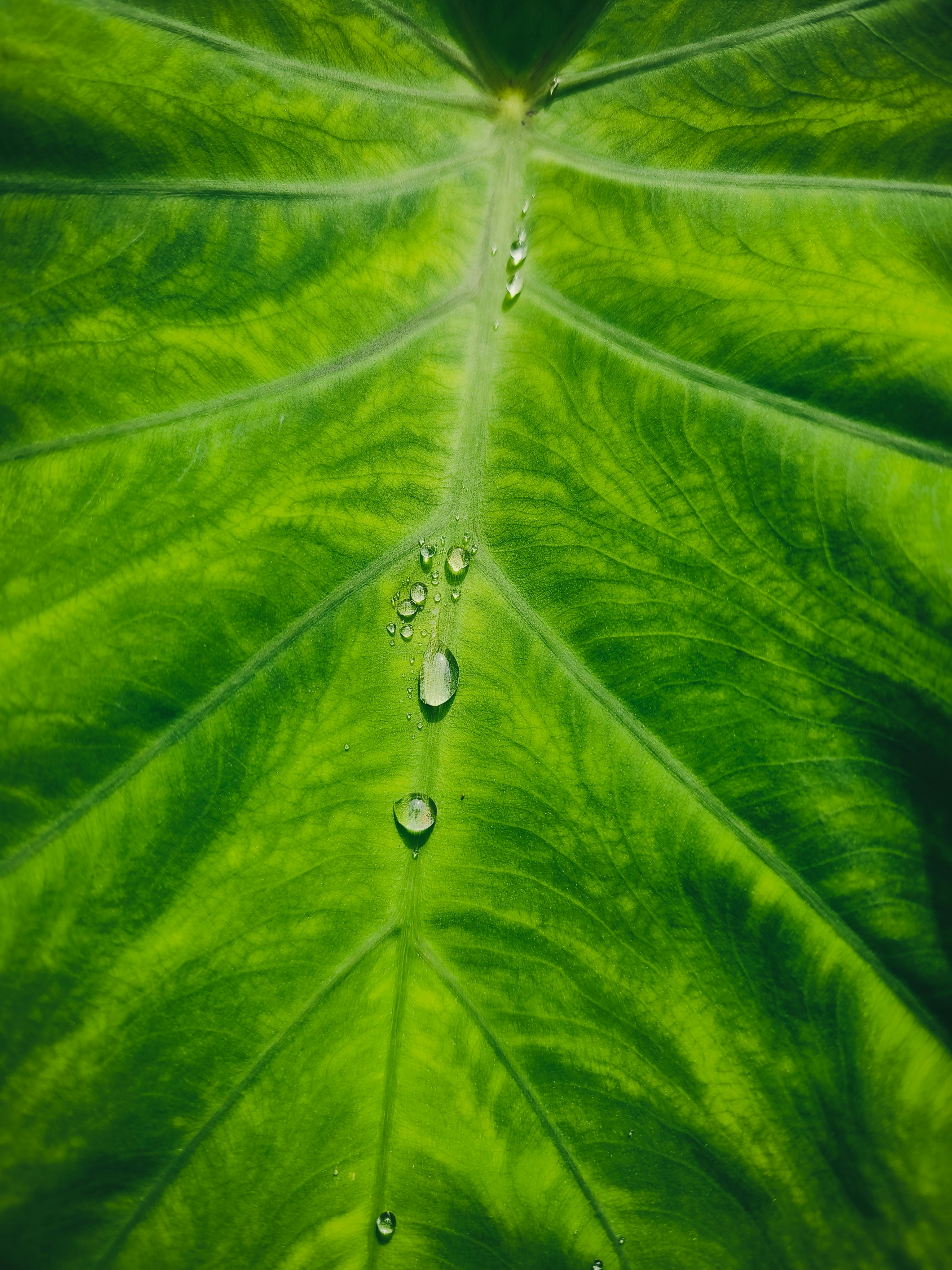 Twinkle+Twinkle+Popmart+Wallpaper Photos, Download The BEST Free ...