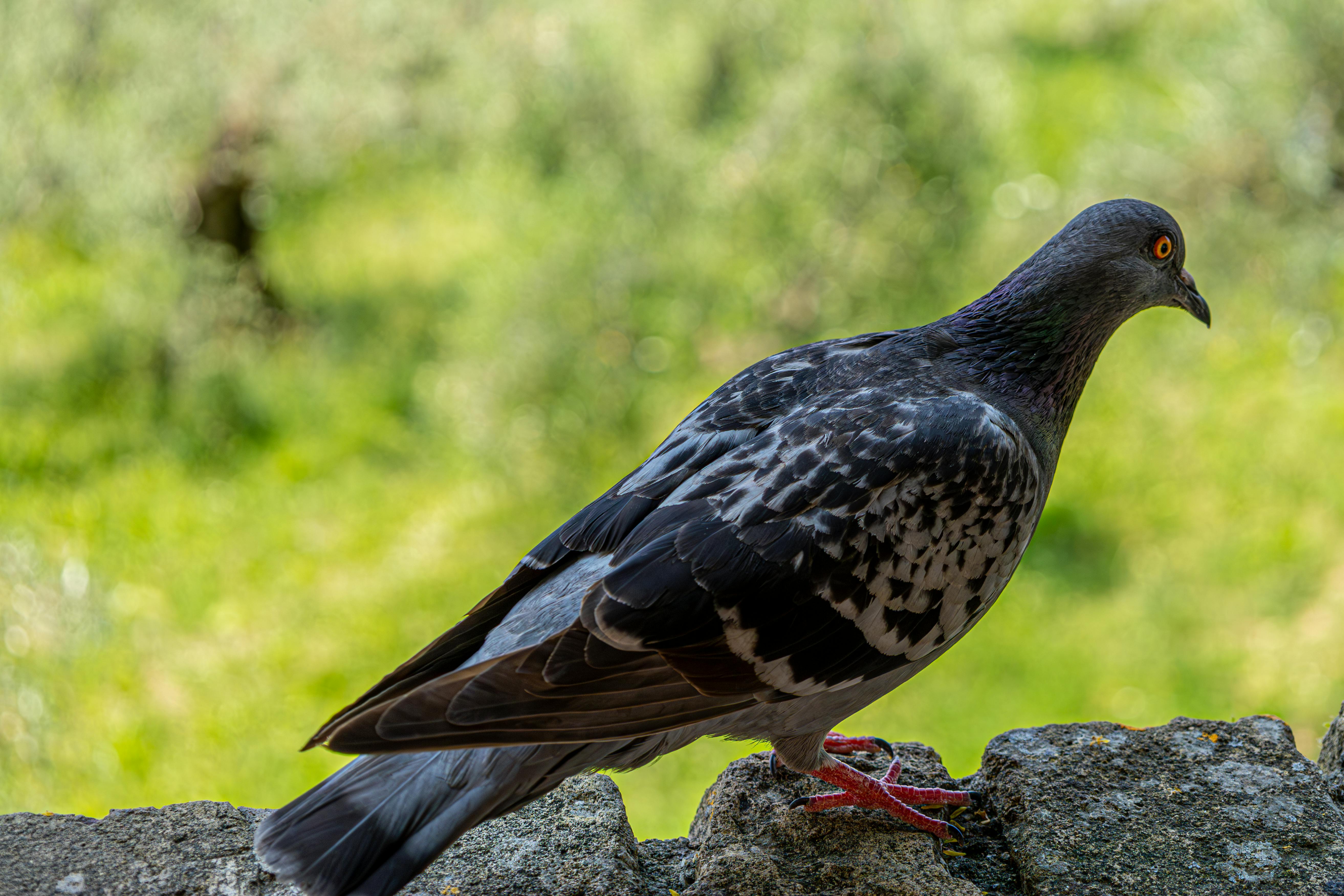 Tuff+Profile+Pics Photos, Download The BEST Free Tuff+Profile+Pics ...