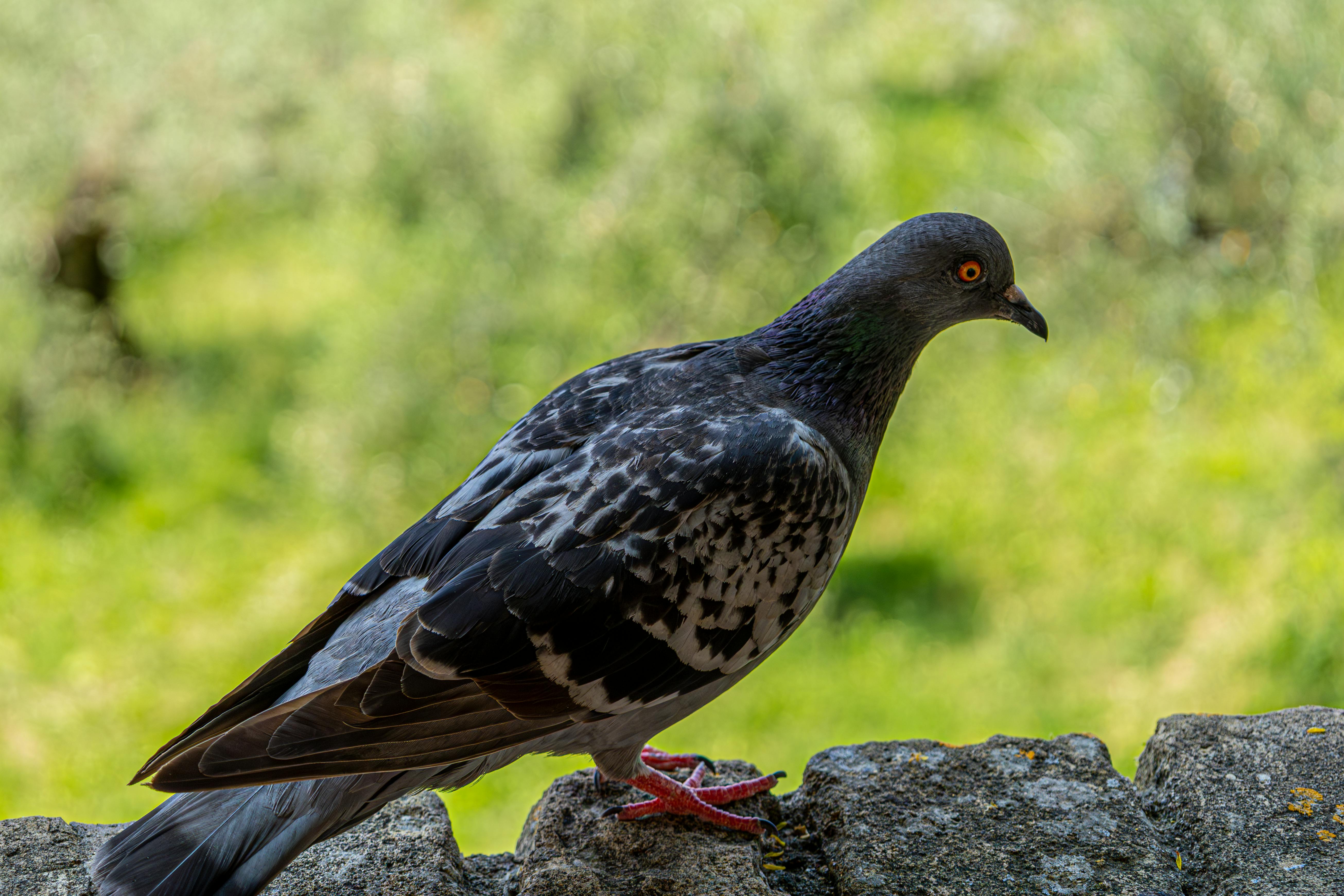 Tuff+Profile+Pics Photos, Download The BEST Free Tuff+Profile+Pics ...