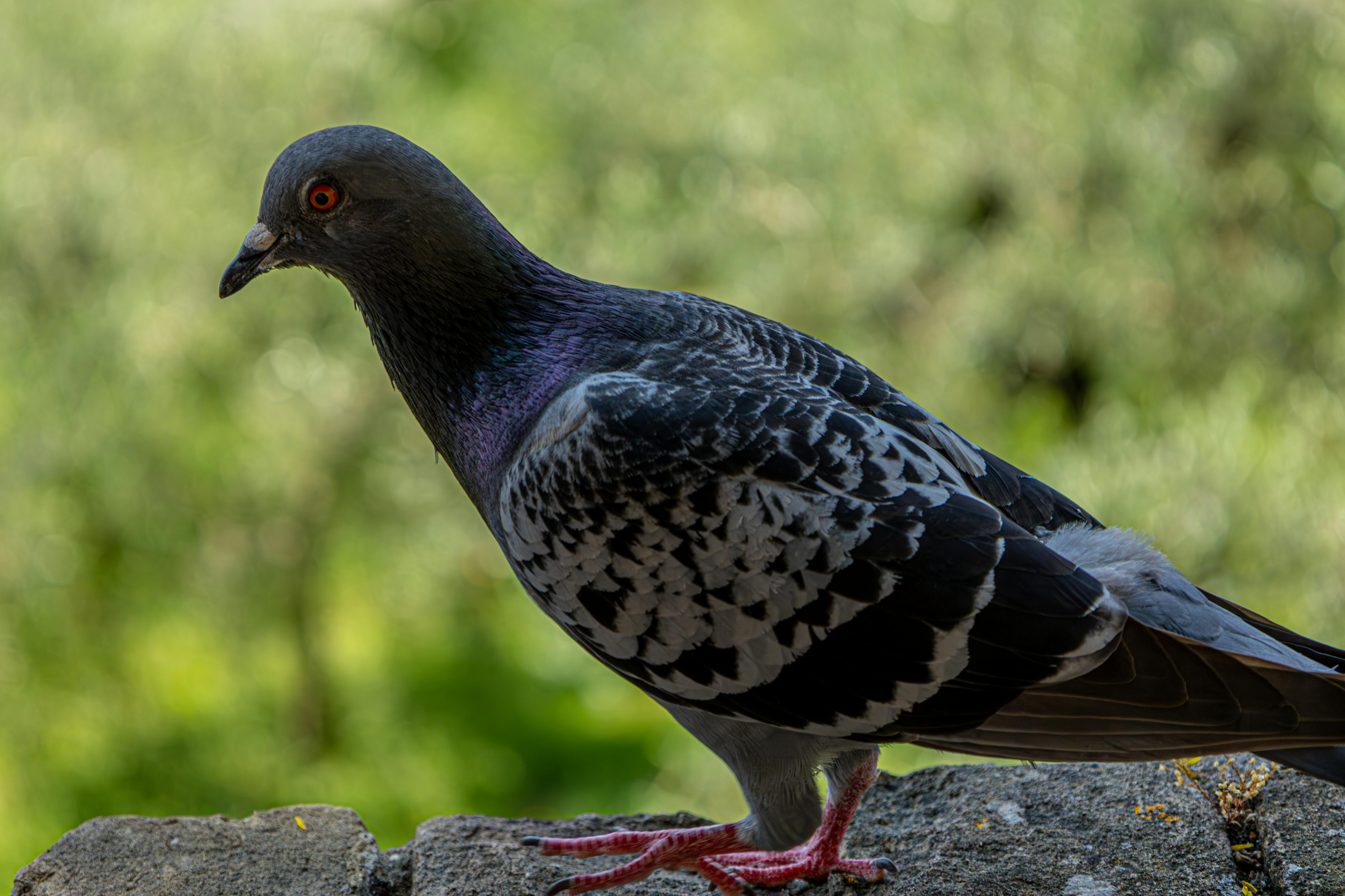 Tuff+Profile+Pics Photos, Download The BEST Free Tuff+Profile+Pics ...