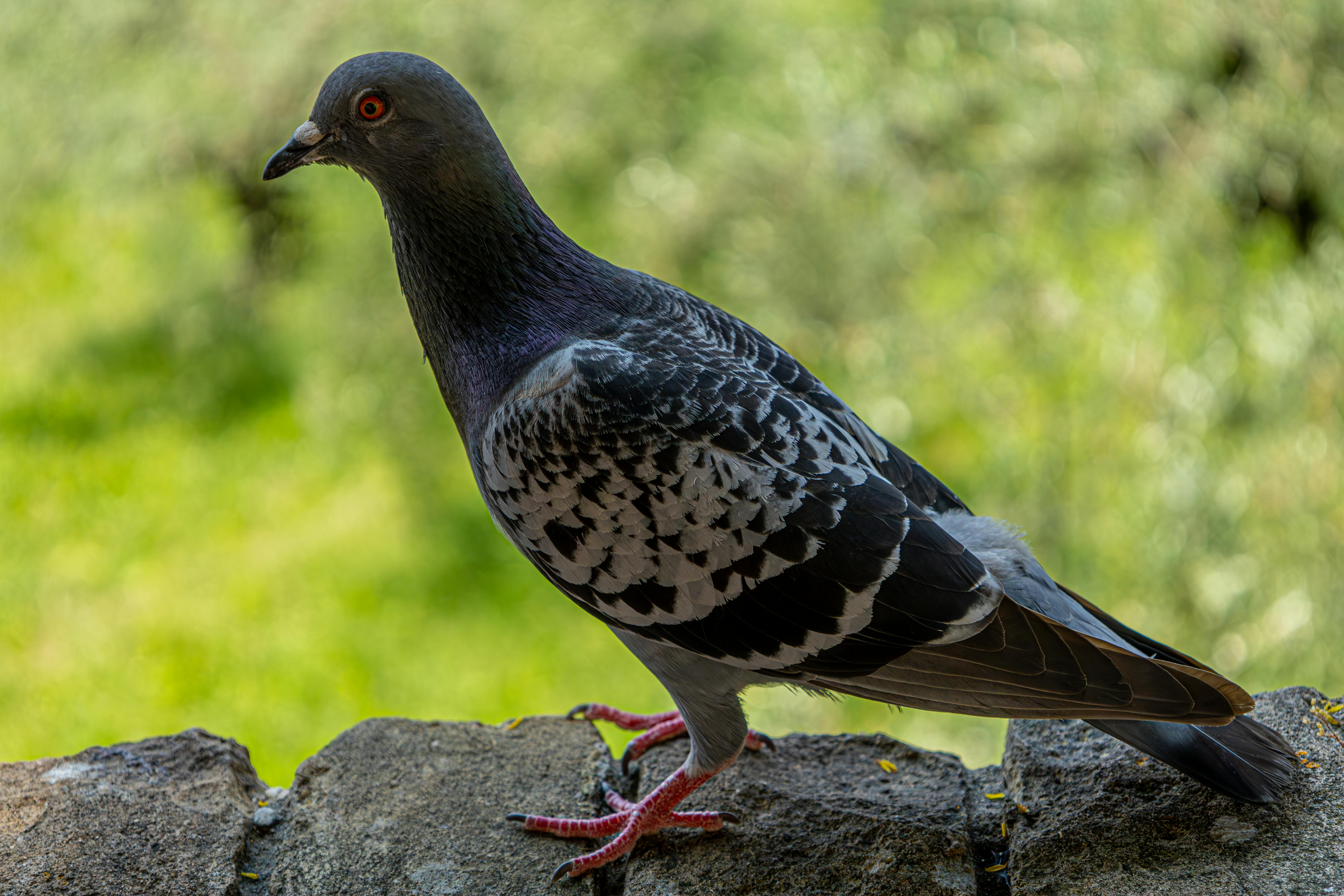 Tuff+Profile+Pics Photos, Download The BEST Free Tuff+Profile+Pics ...