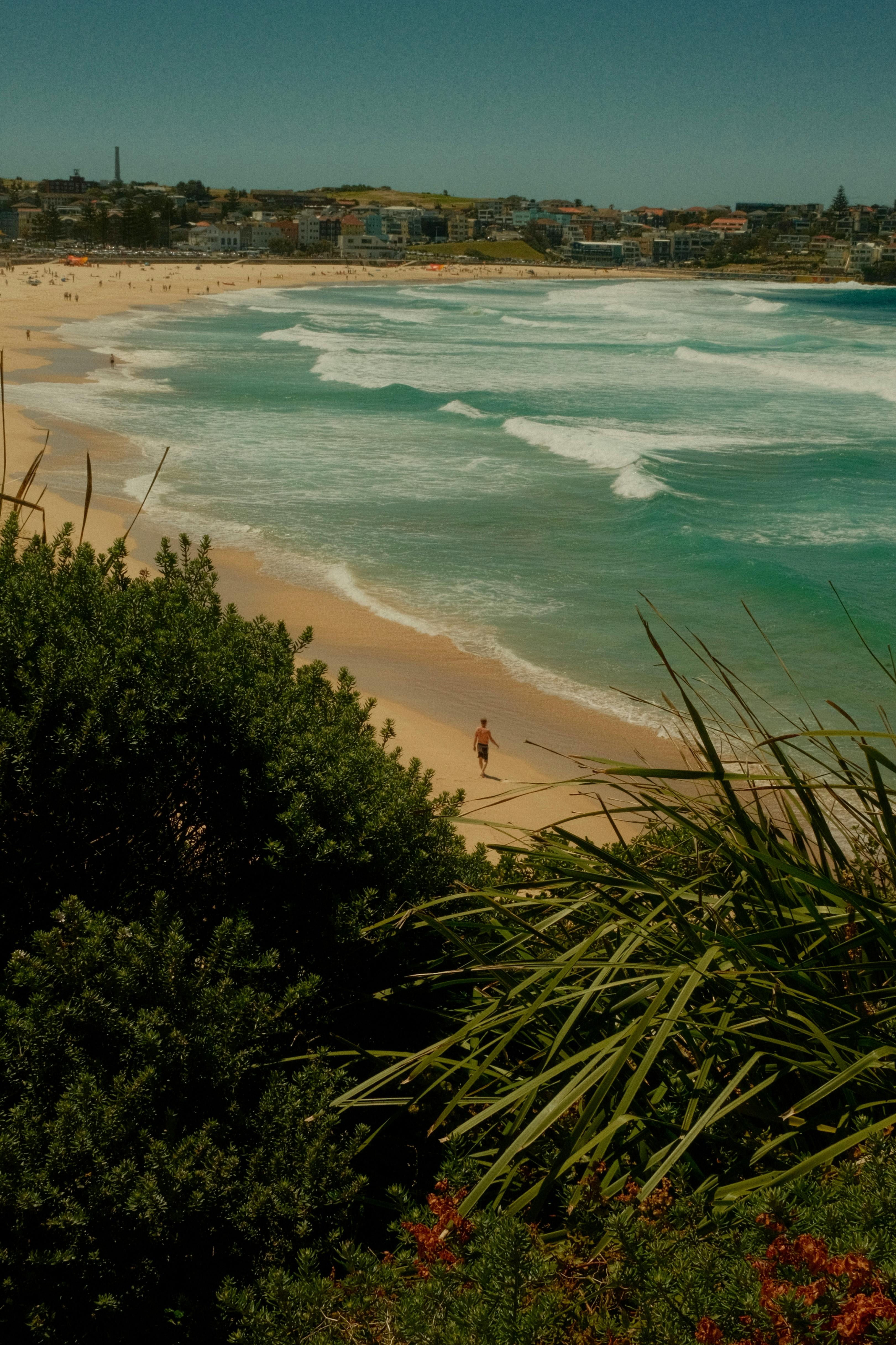 Australian Beaches Photos, Download The BEST Free Australian Beaches ...