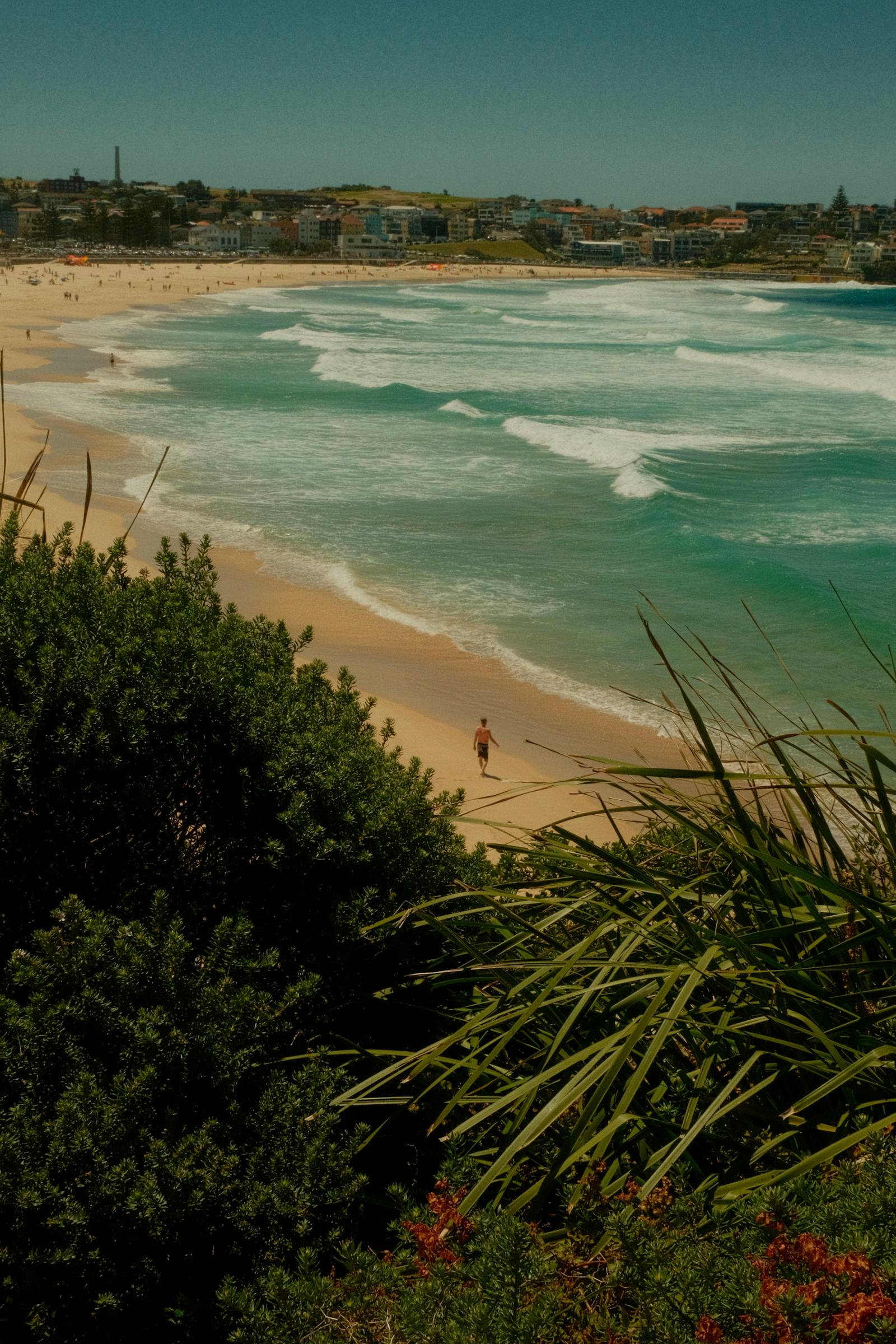 Australian Beaches Photos, Download The BEST Free Australian Beaches ...