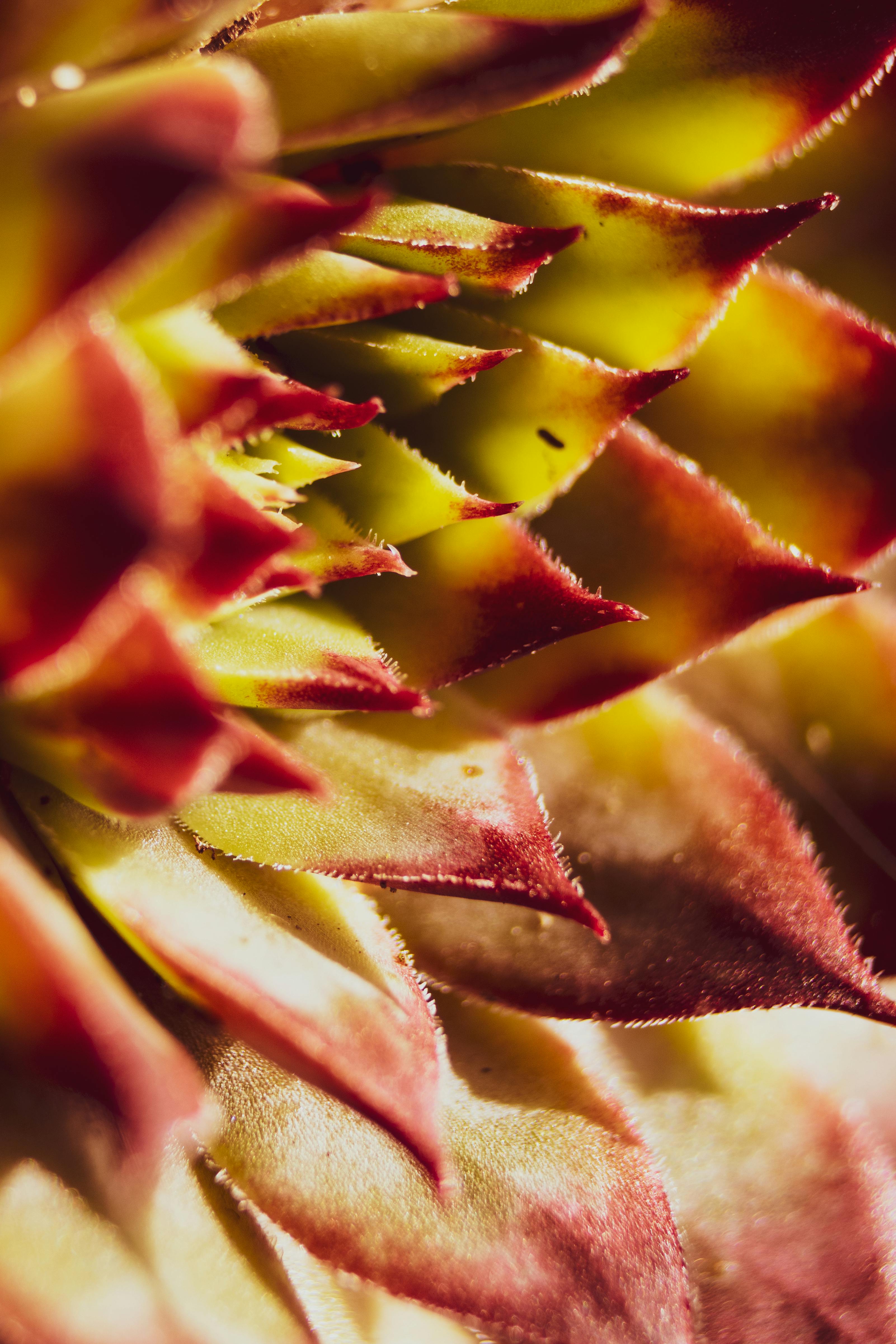 Rabbit+Pointing+At+Clock+Meme Photos, Download The BEST Free Rabbit ...