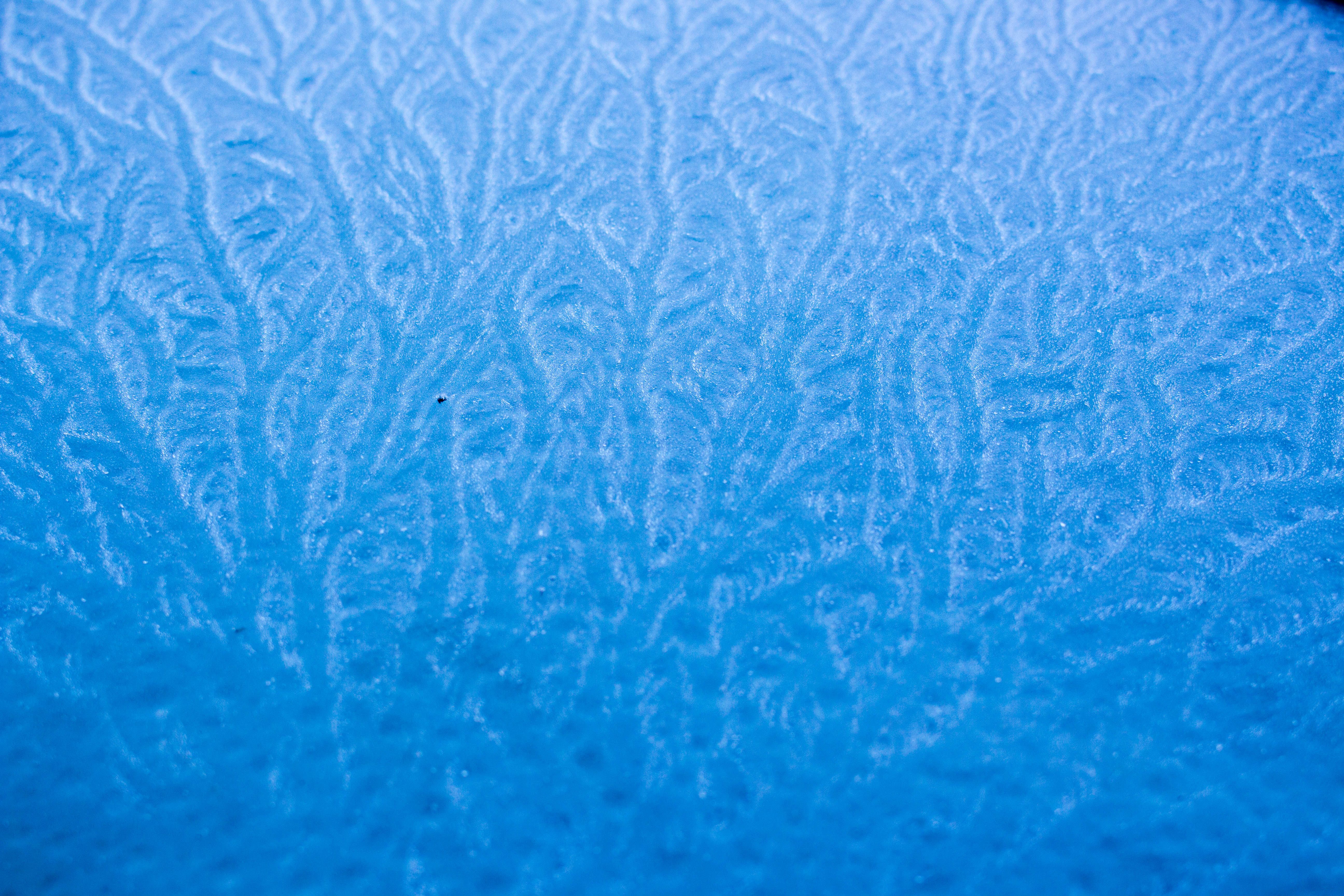 Texture of Blue Frozen Surface with Frost Patterns · Free Stock Photo