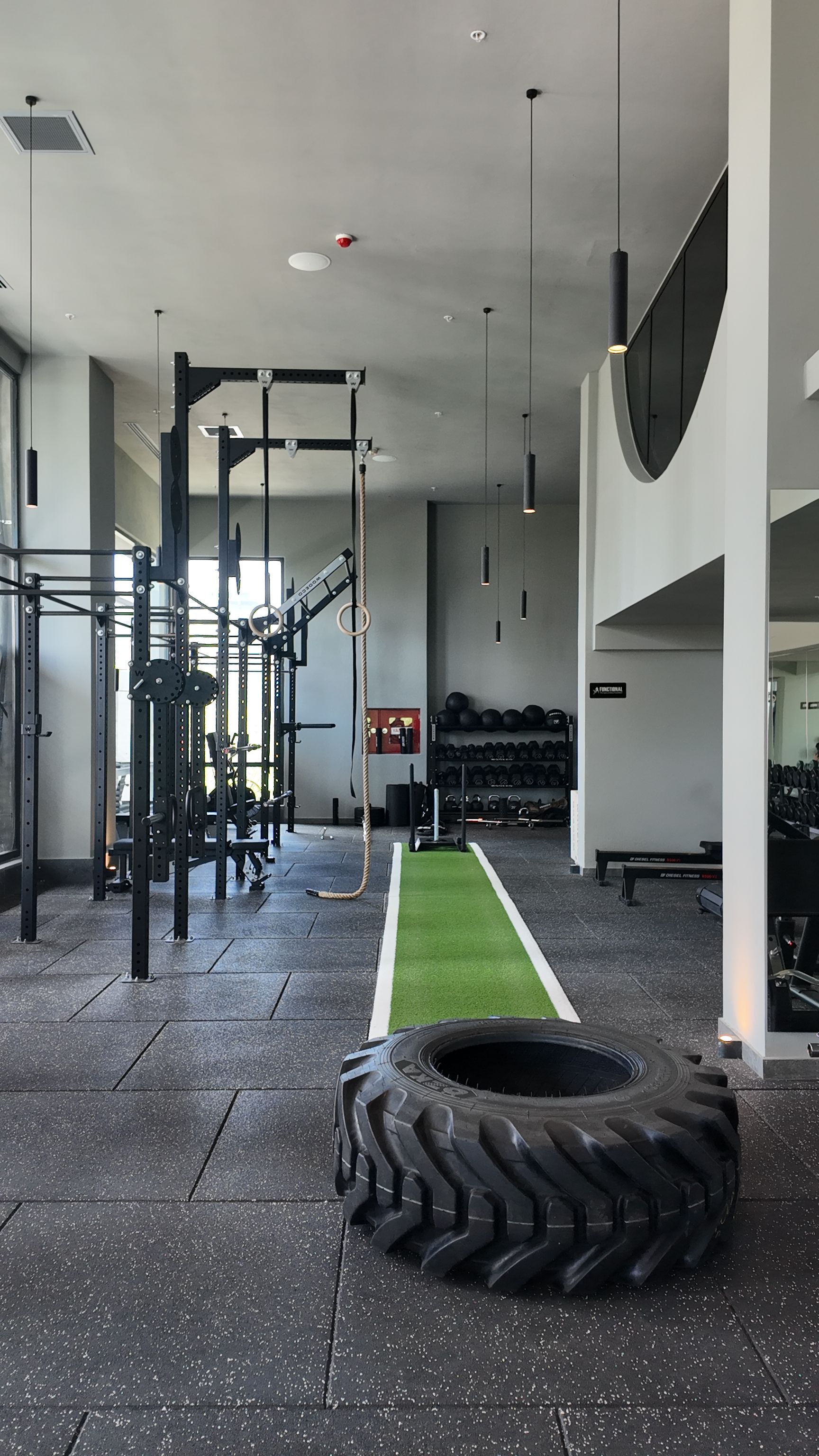 Gym+Domingos Photos, Download The BEST Free Gym+Domingos Stock Photos ...