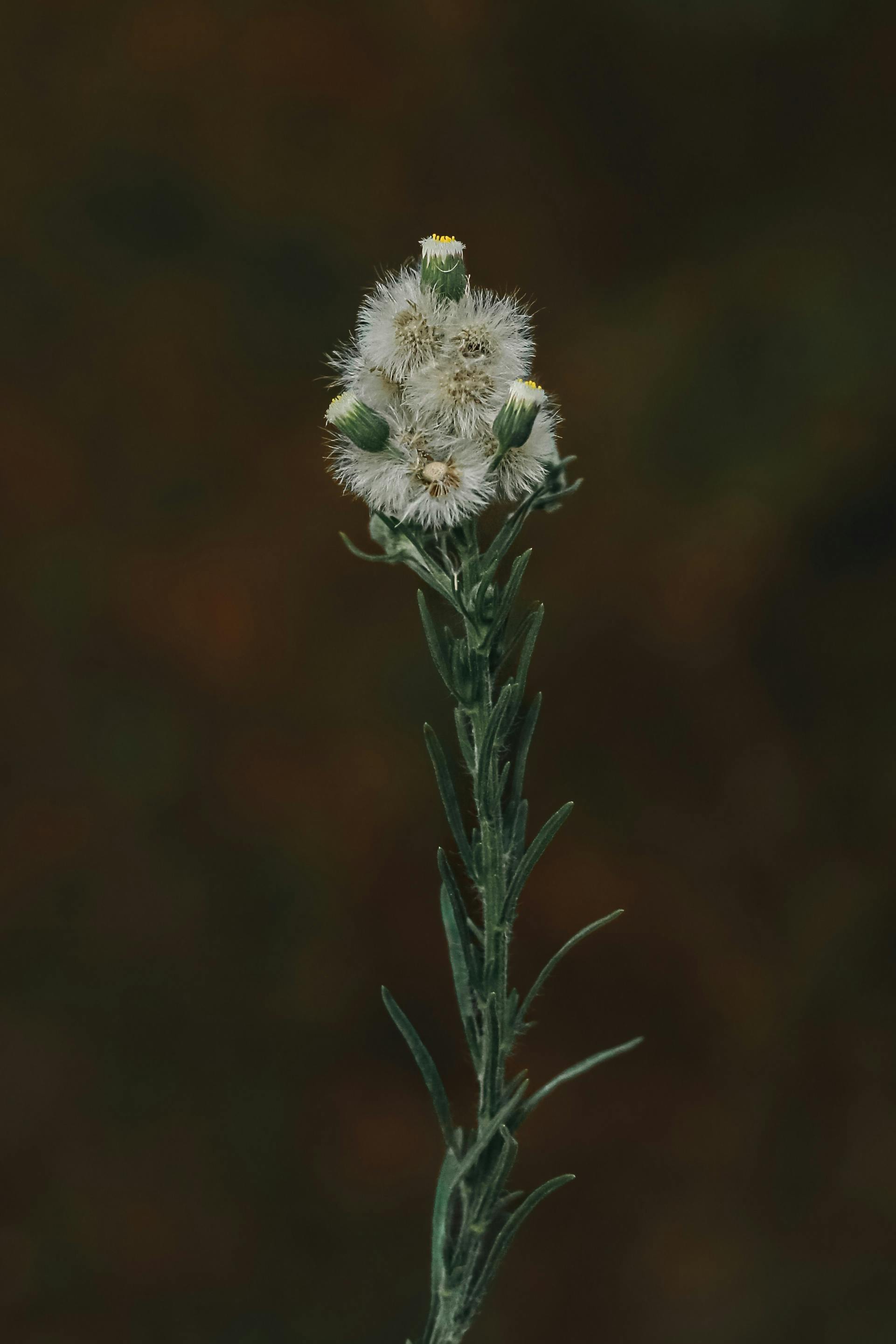 Tuff+Profile+Pics Photos, Download The BEST Free Tuff+Profile+Pics ...