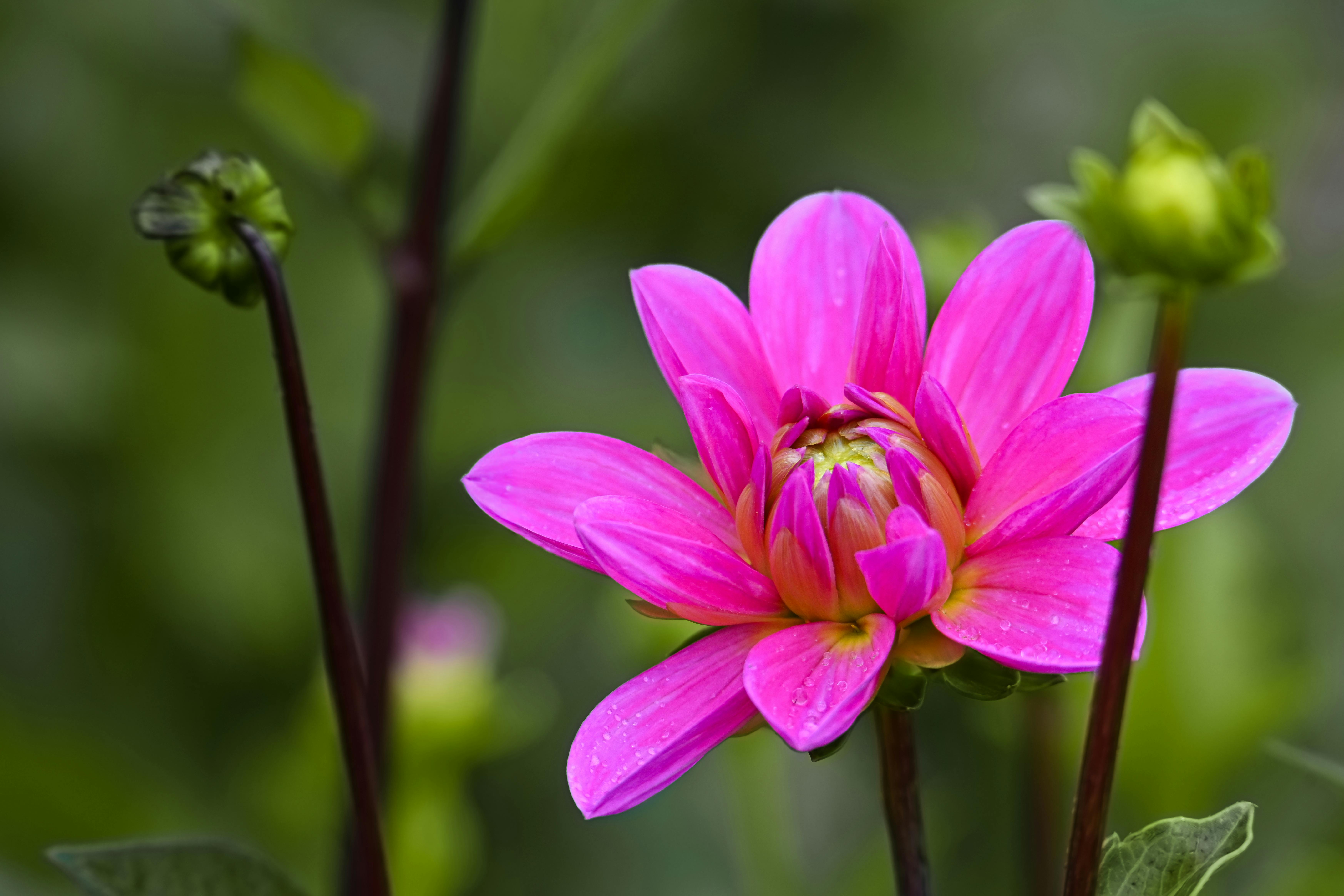 Twinkle+Twinkle+Popmart+Wallpaper Photos, Download The BEST Free ...