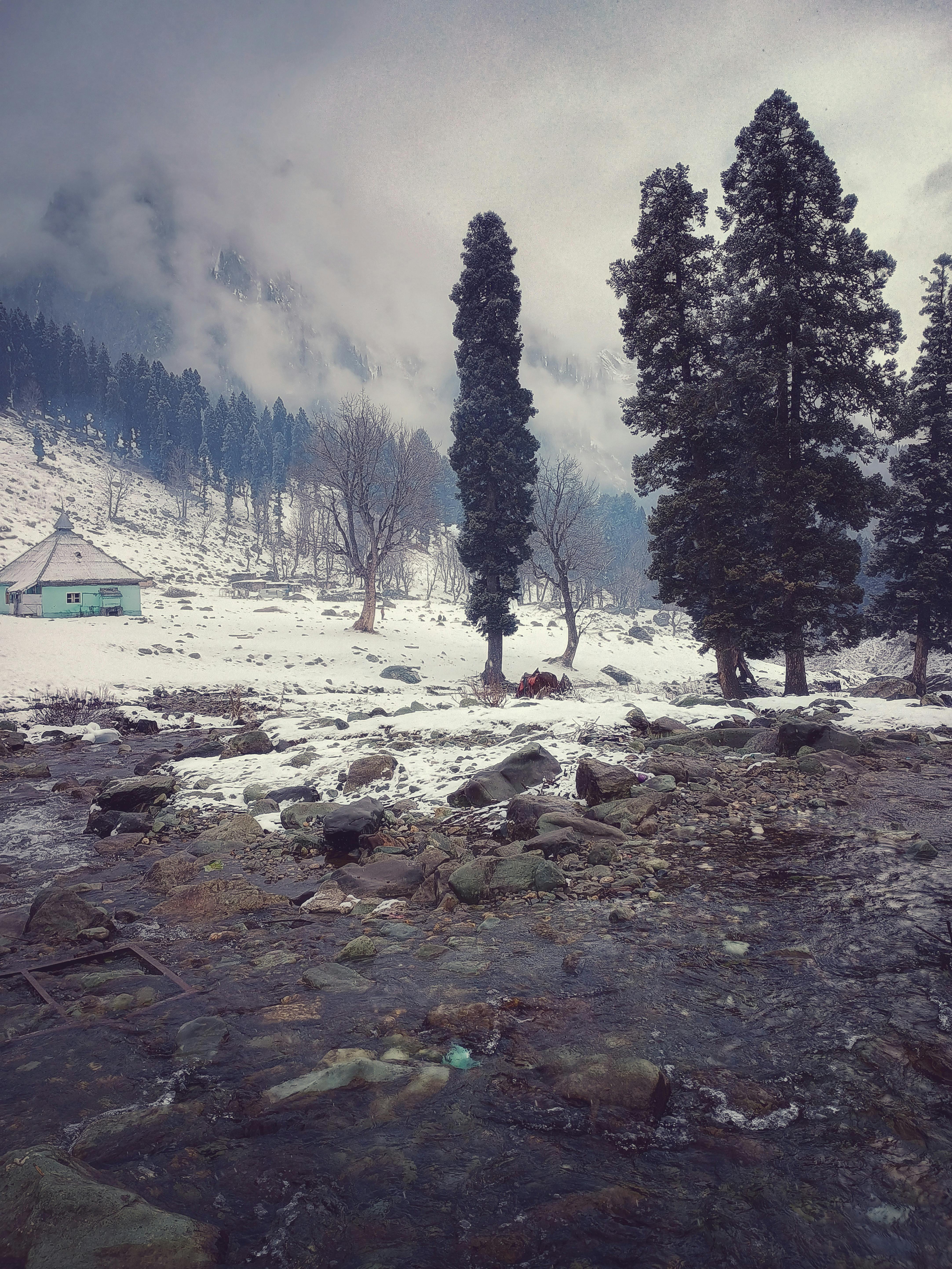 Indian Paisa Photos, Download The BEST Free Indian Paisa Stock Photos ...