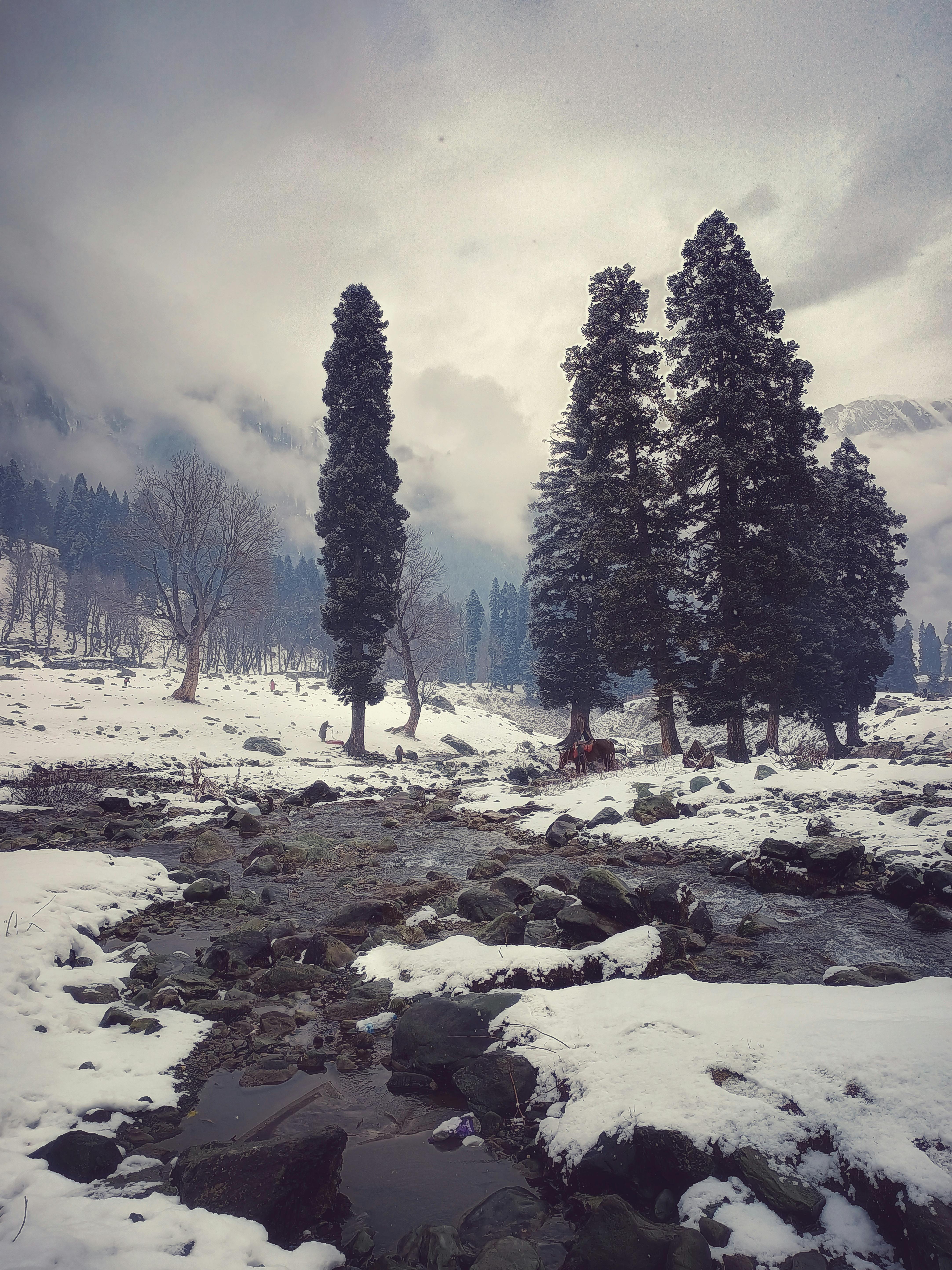 Snow Landscape Photos, Download The BEST Free Snow Landscape Stock ...