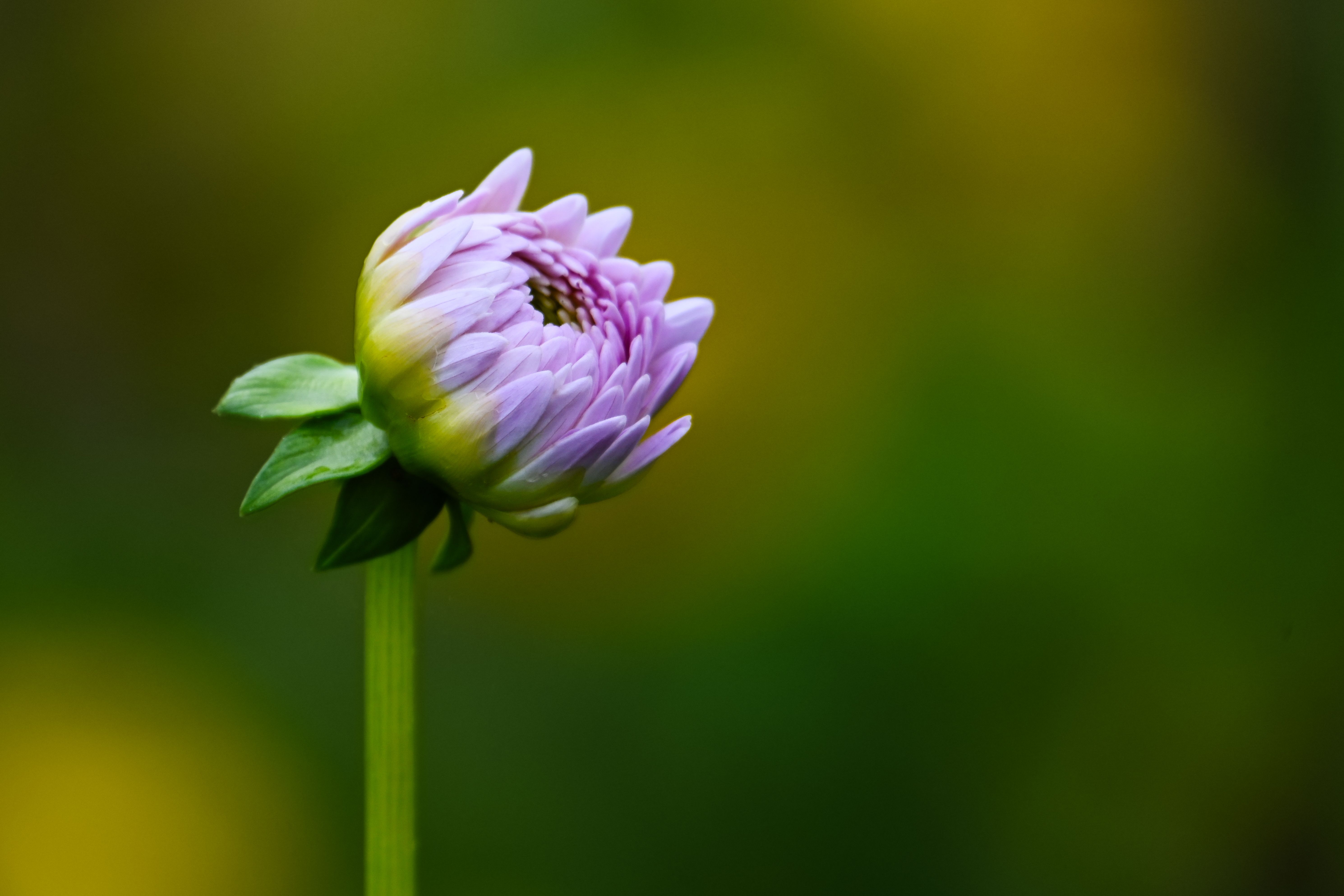 Beautiful Background Powerpoint Photos, Download The BEST Free ...