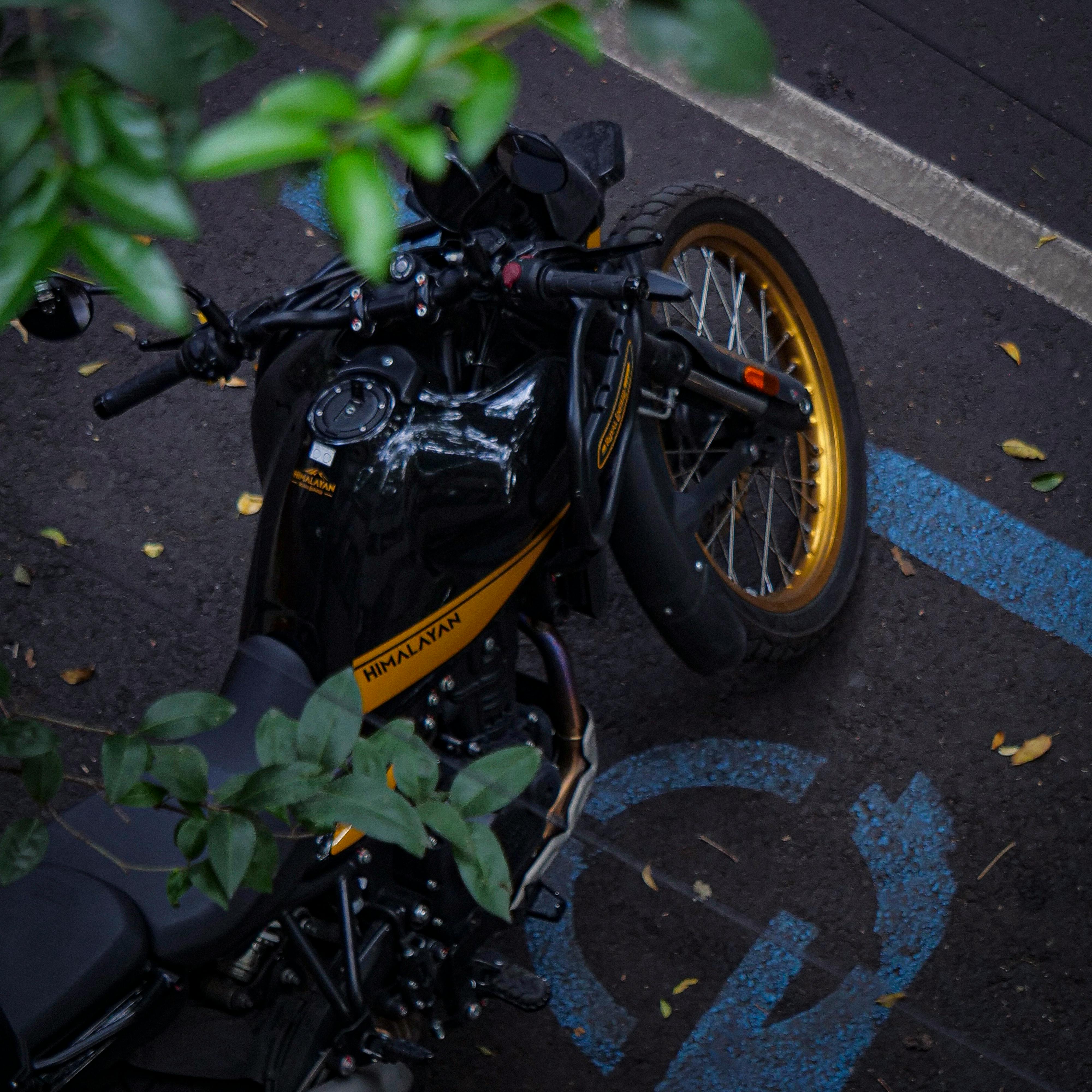 Riley Franzke - 写真