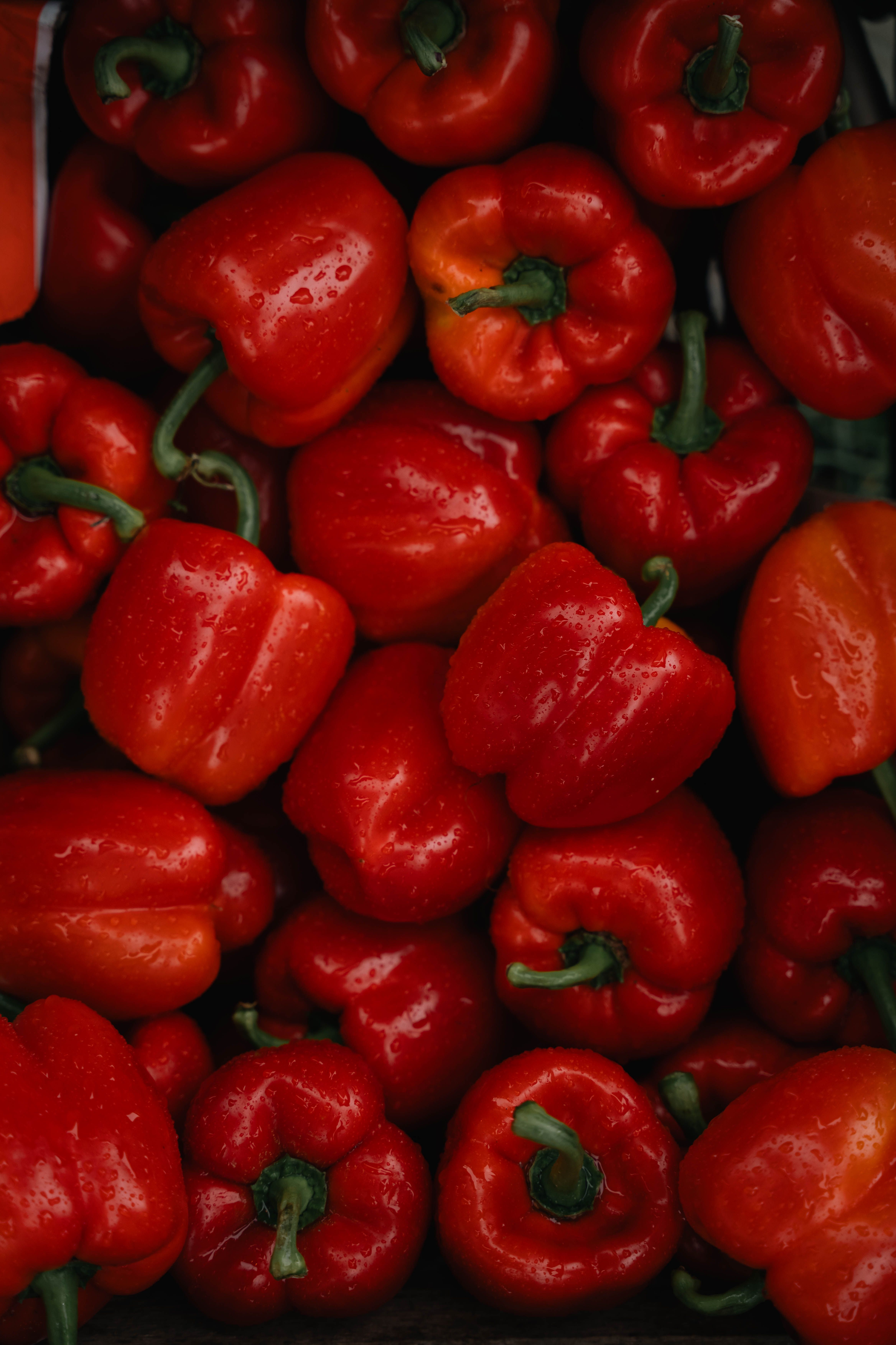 Close-up of Fresh Red Bell Peppers in Sunlight · Free Stock Photo