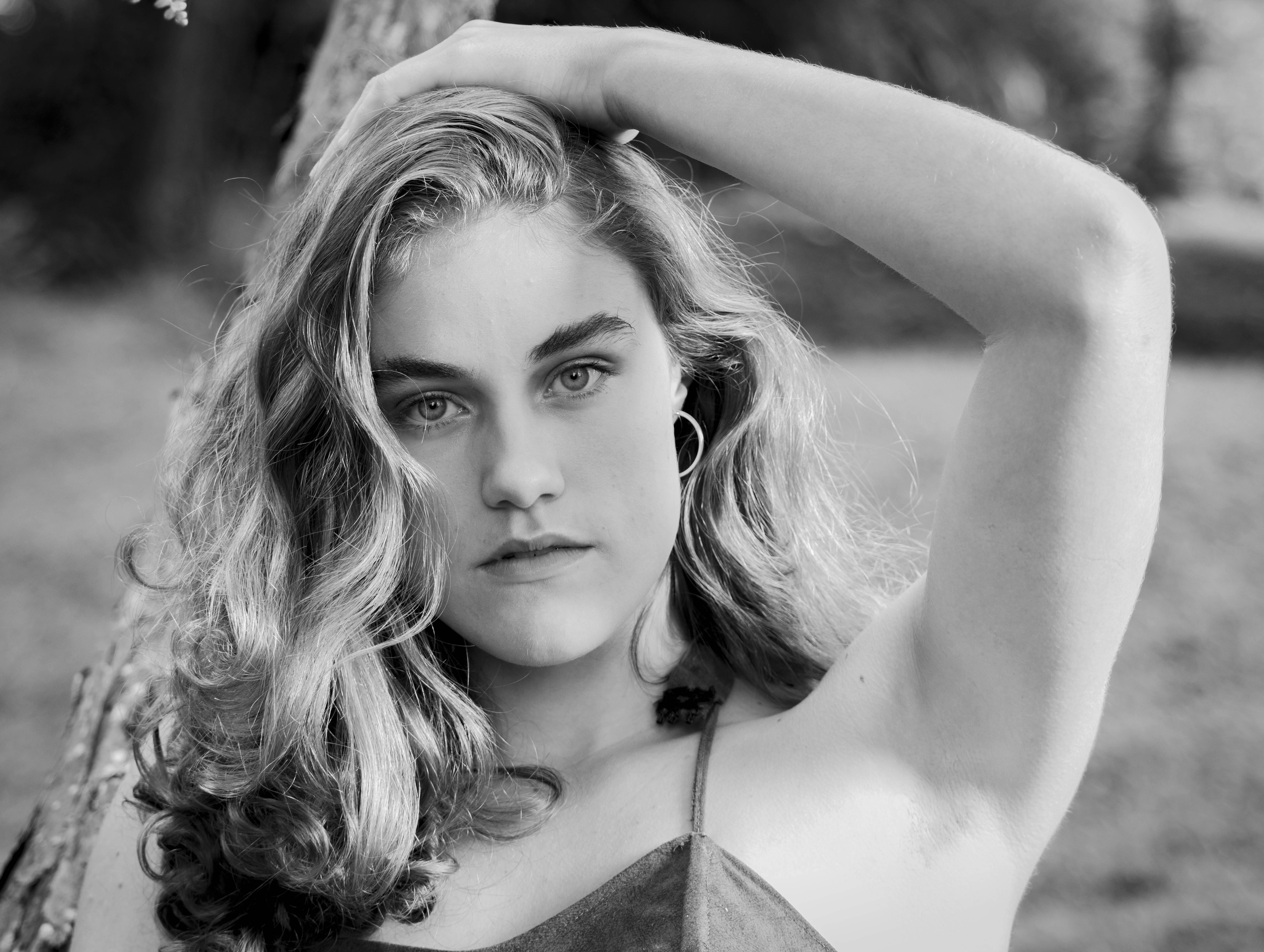 Clove Tree Photos, Download The BEST Free Clove Tree Stock Photos & HD ...