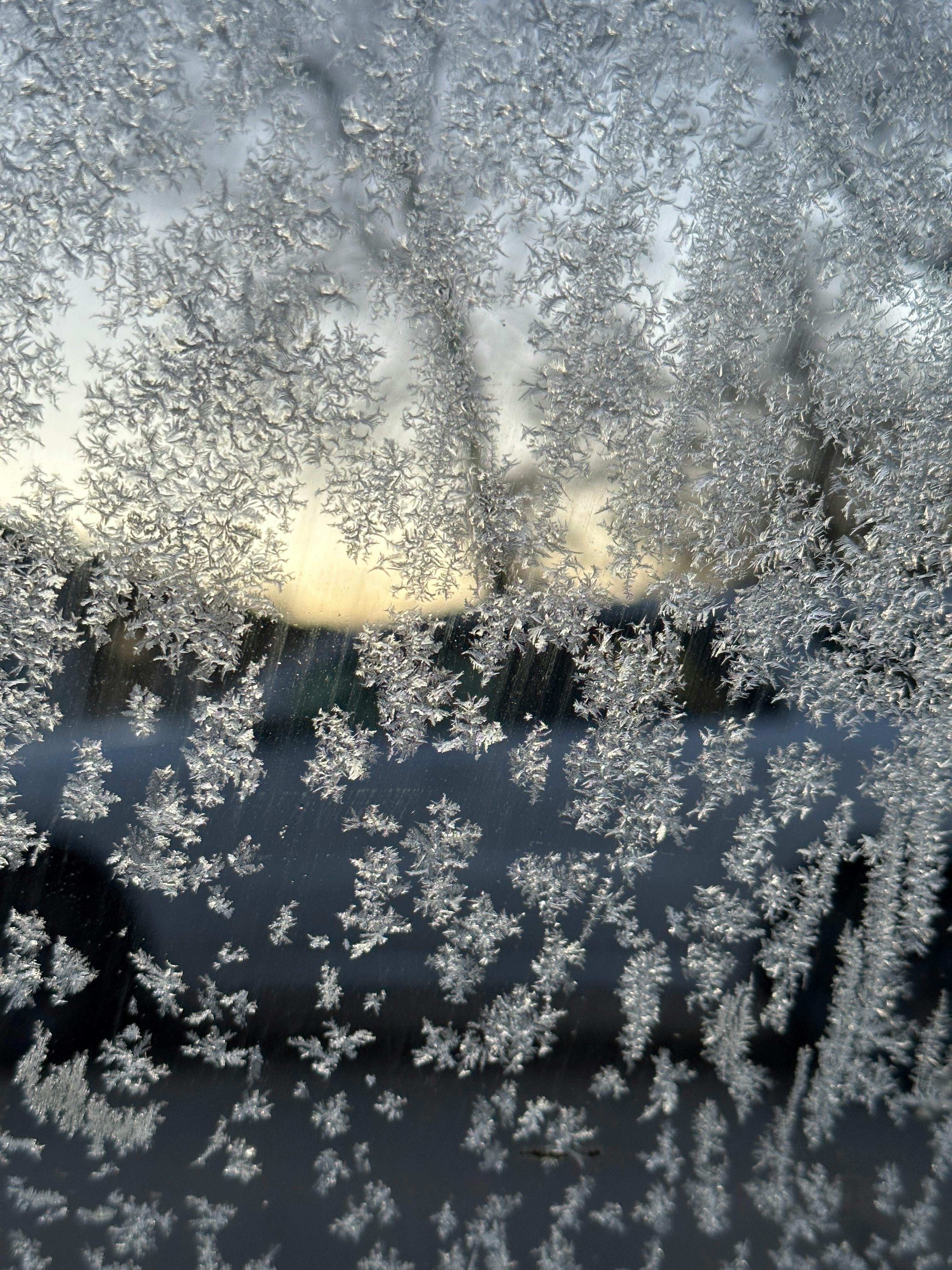 Icy Photos, Download The BEST Free Icy Stock Photos & HD Images