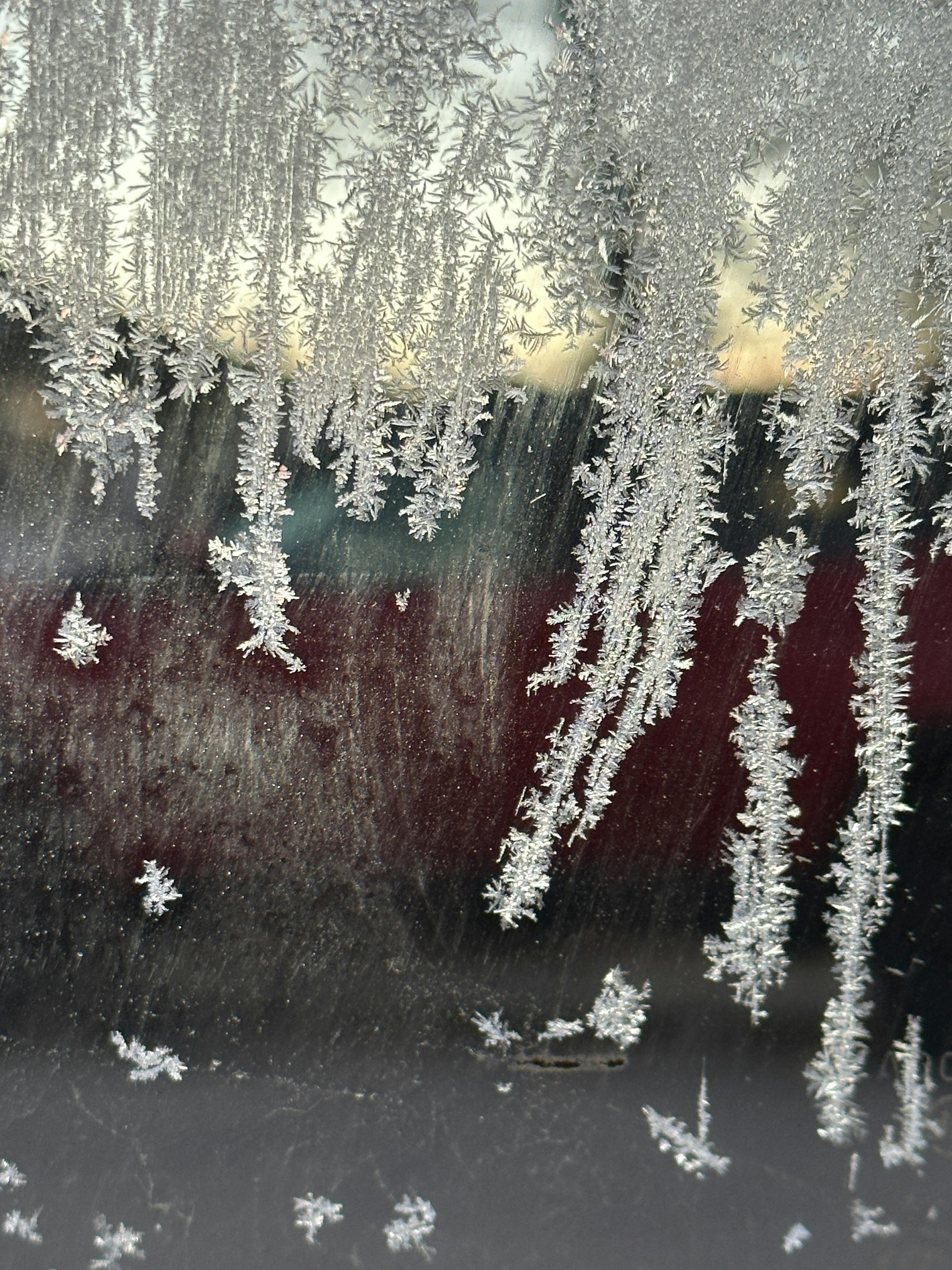 Freezing Photos, Download The BEST Free Freezing Stock Photos & HD Images