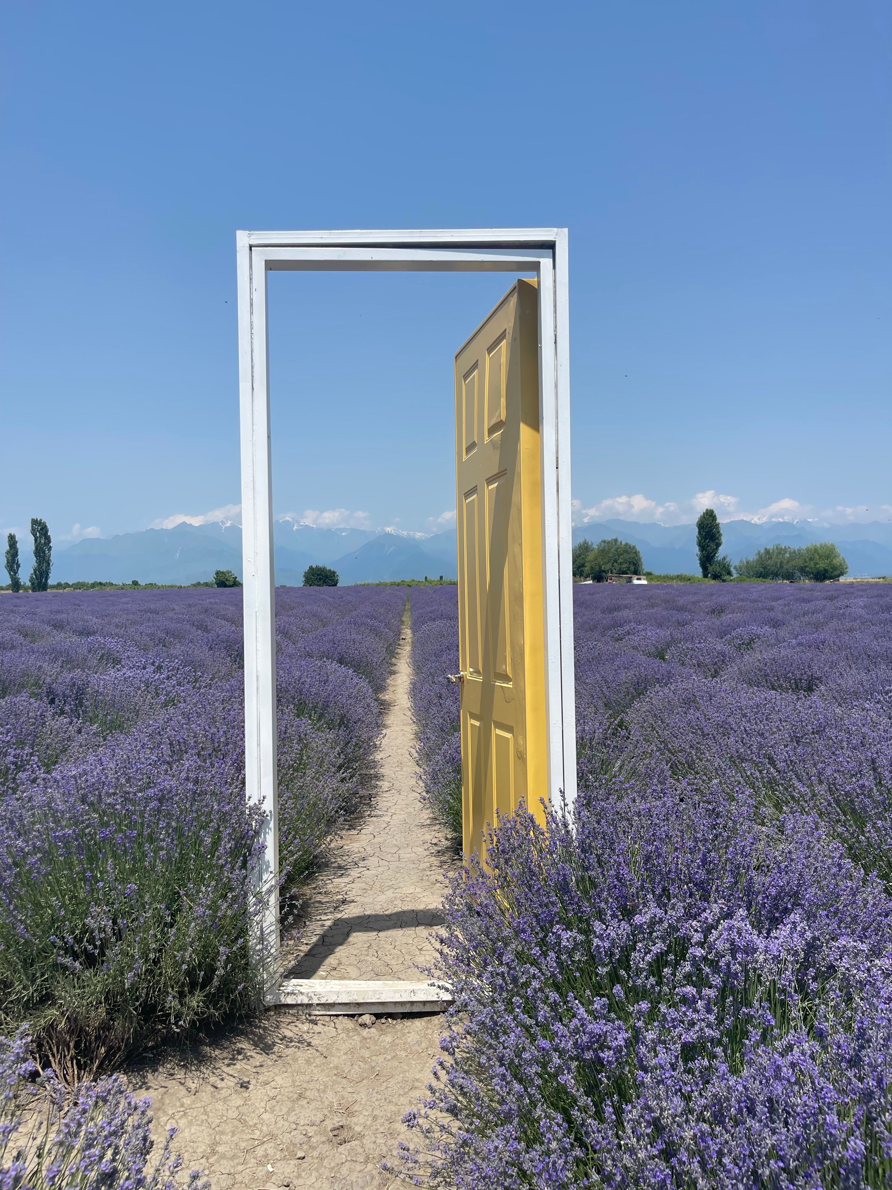 Surreal Yellow Door in Lavender Field, Azerbaijan · Free Stock Photo