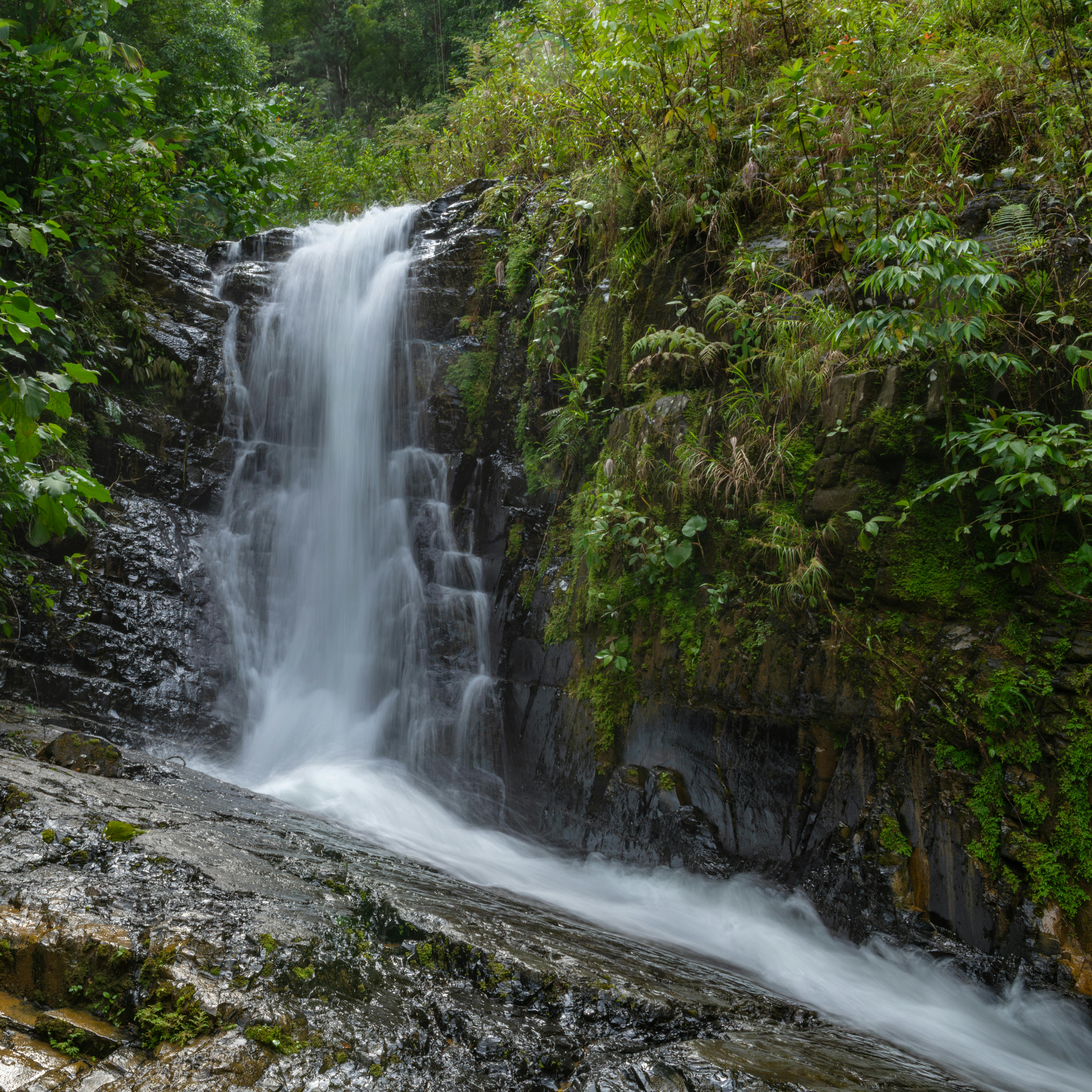 Nature Waterfall Photos, Download The BEST Free Nature Waterfall Stock ...
