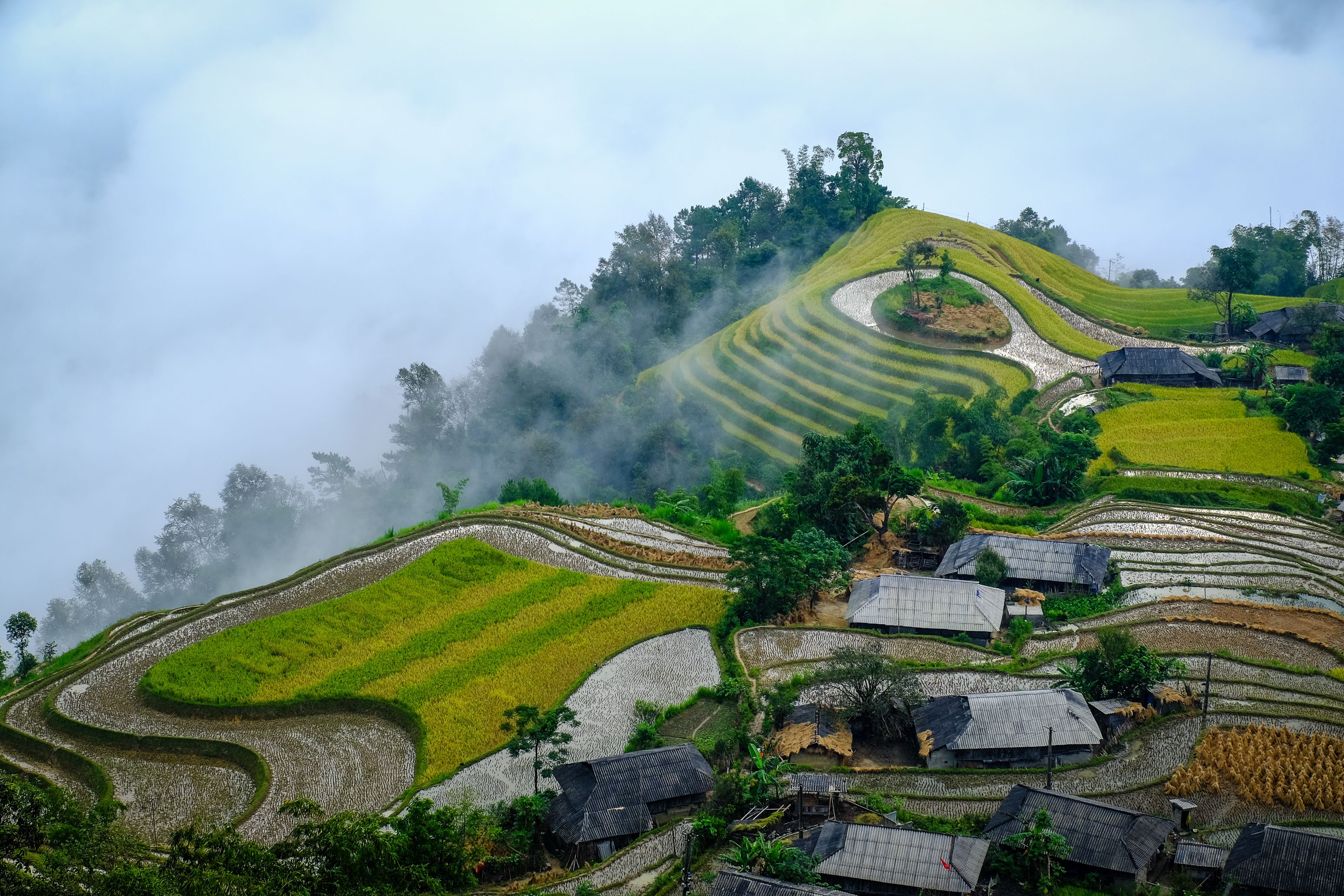 High Resolution Nice Farm Fields Photos, Download The BEST Free High ...