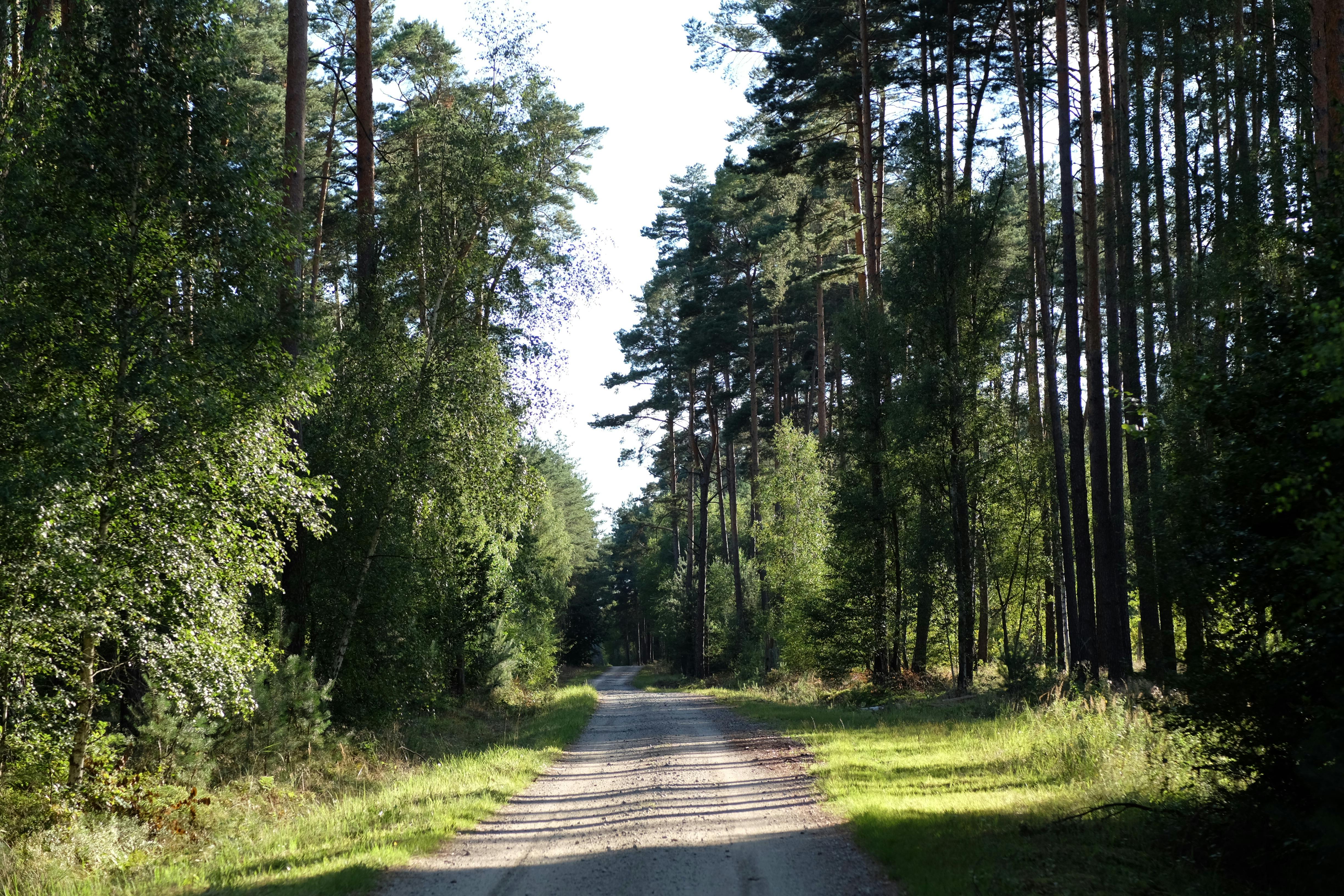 Ambient Photos, Download The BEST Free Ambient Stock Photos & HD Images