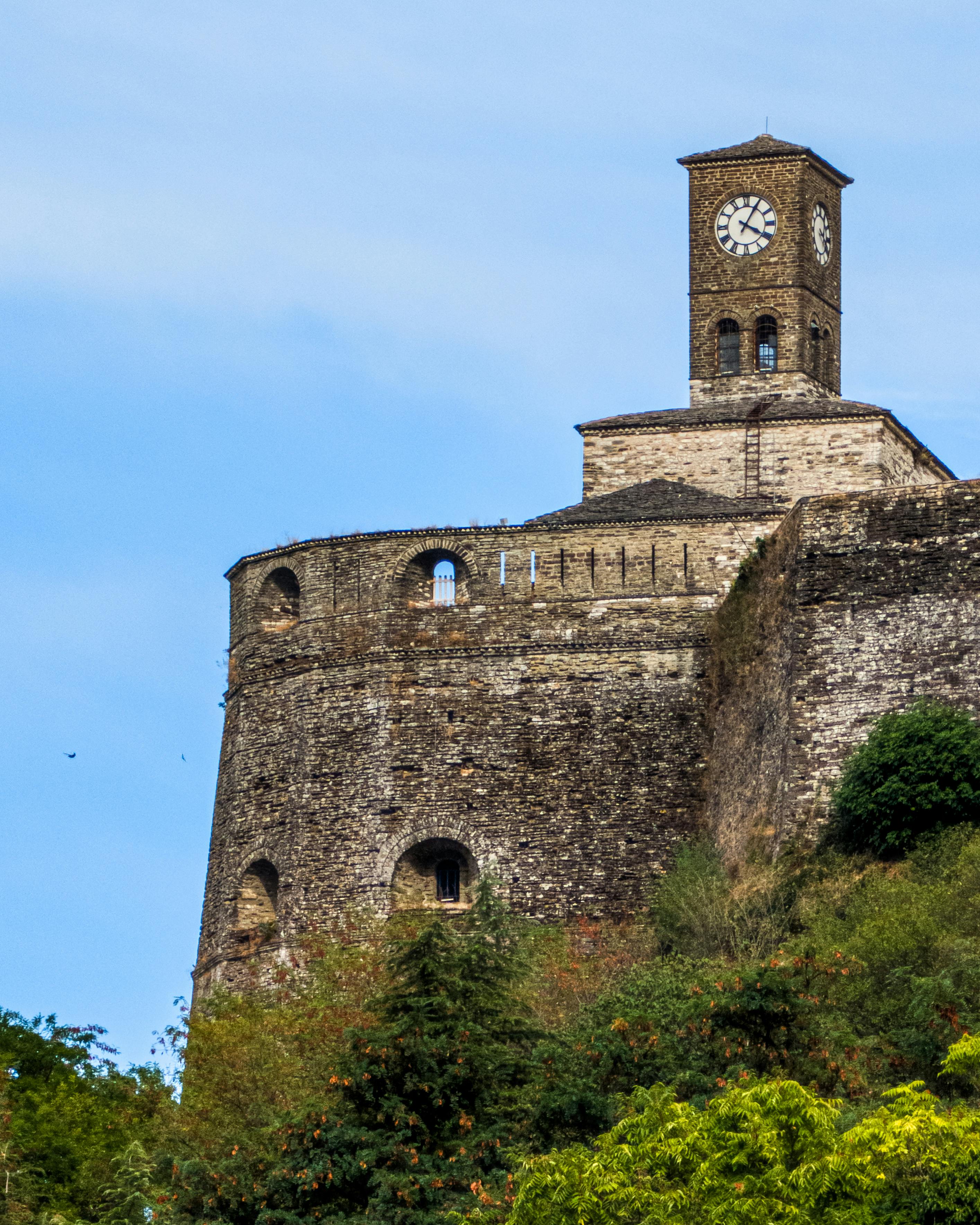 Rabbit+Pointing+At+Clock+Meme Photos, Download The BEST Free Rabbit ...