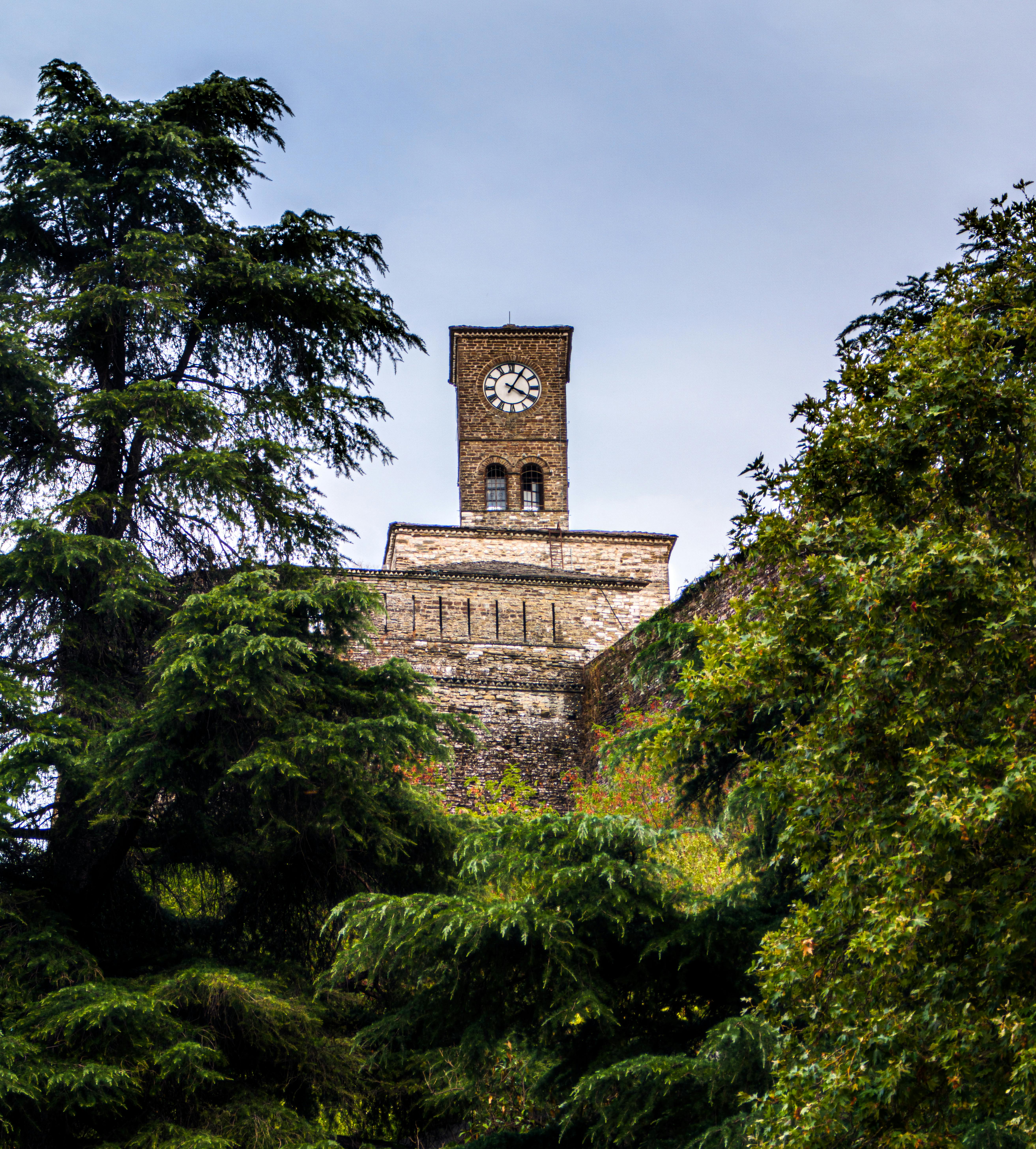 Rabbit+Pointing+At+Clock+Meme Photos, Download The BEST Free Rabbit ...