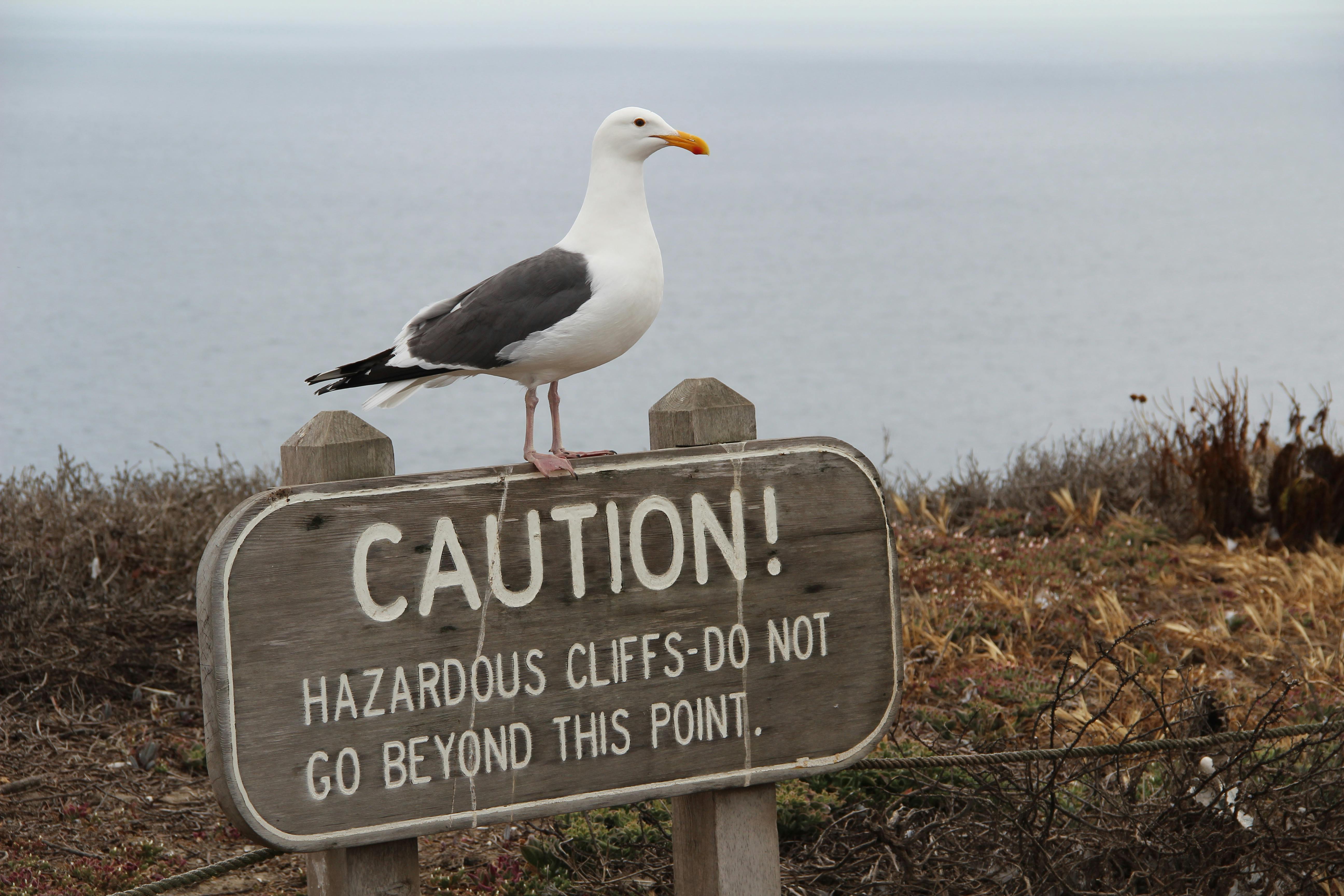 Warning Sign Photos, Download The BEST Free Warning Sign Stock Photos ...