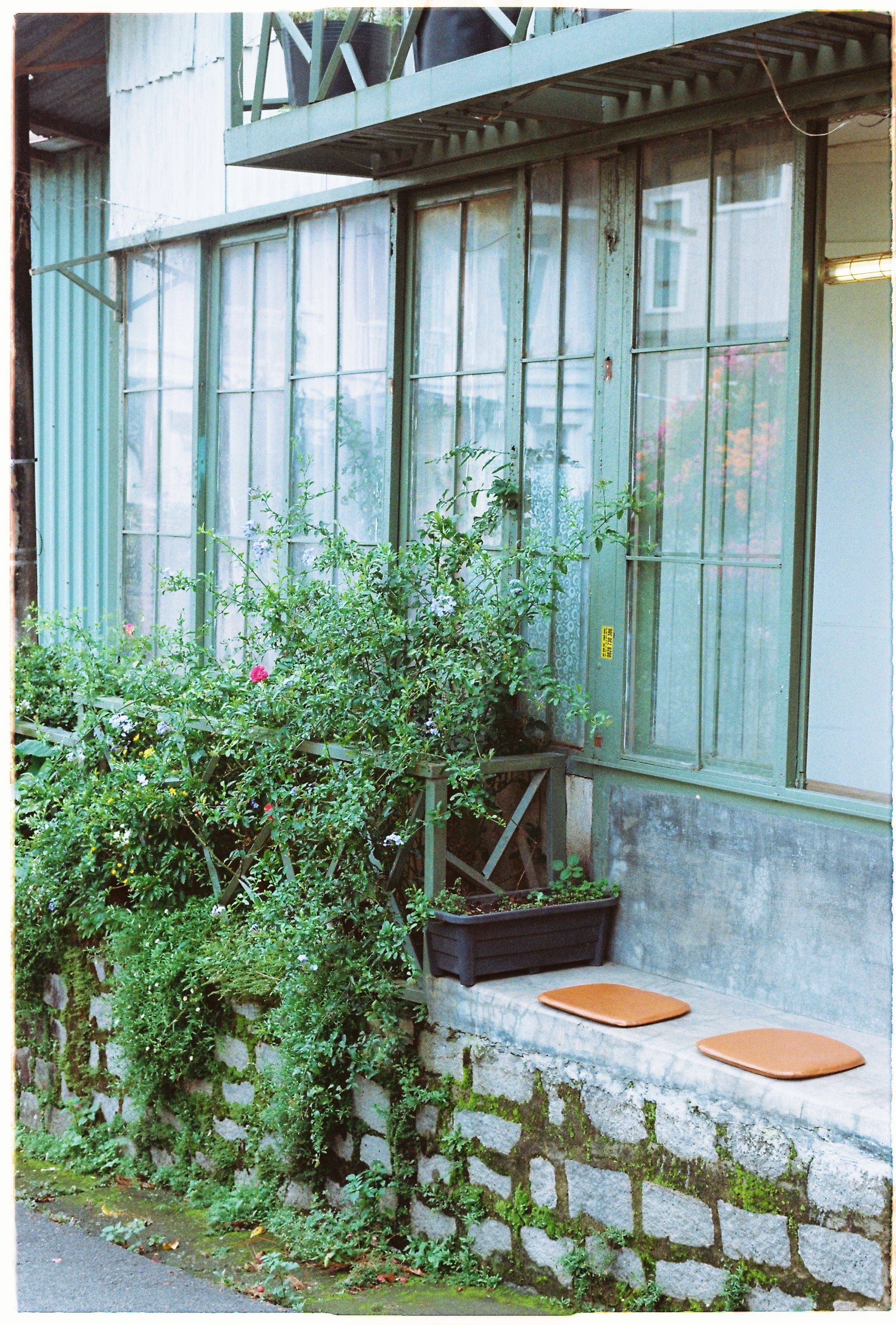 Rustic Patio with Overgrown Greenery and Cushions · Free Stock Photo
