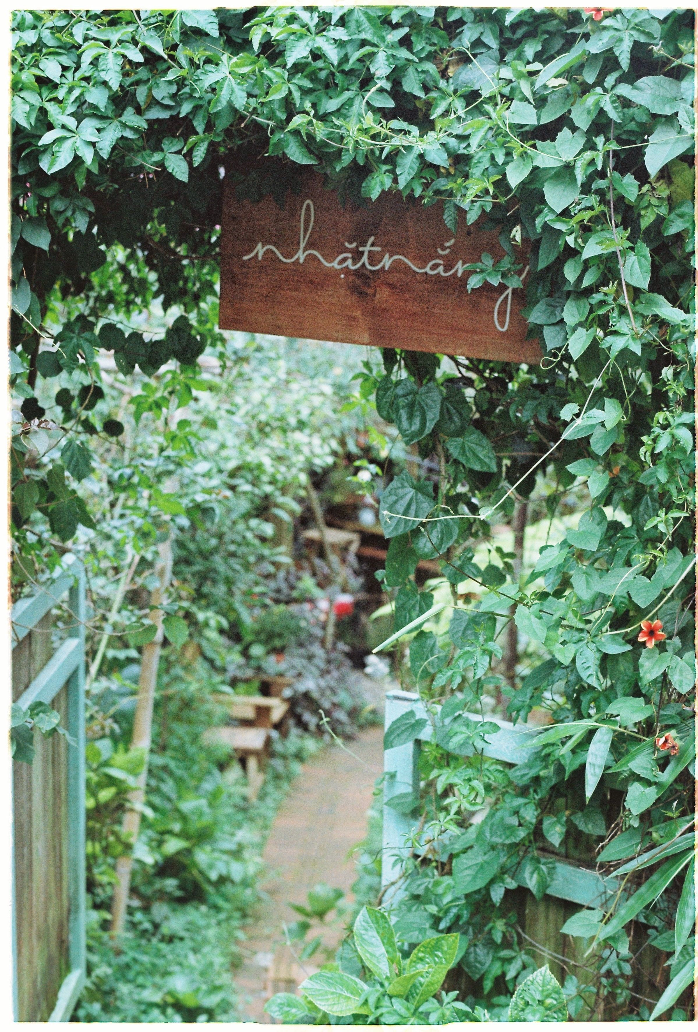 Enchanting Garden Pathway with Wooden Sign · Free Stock Photo