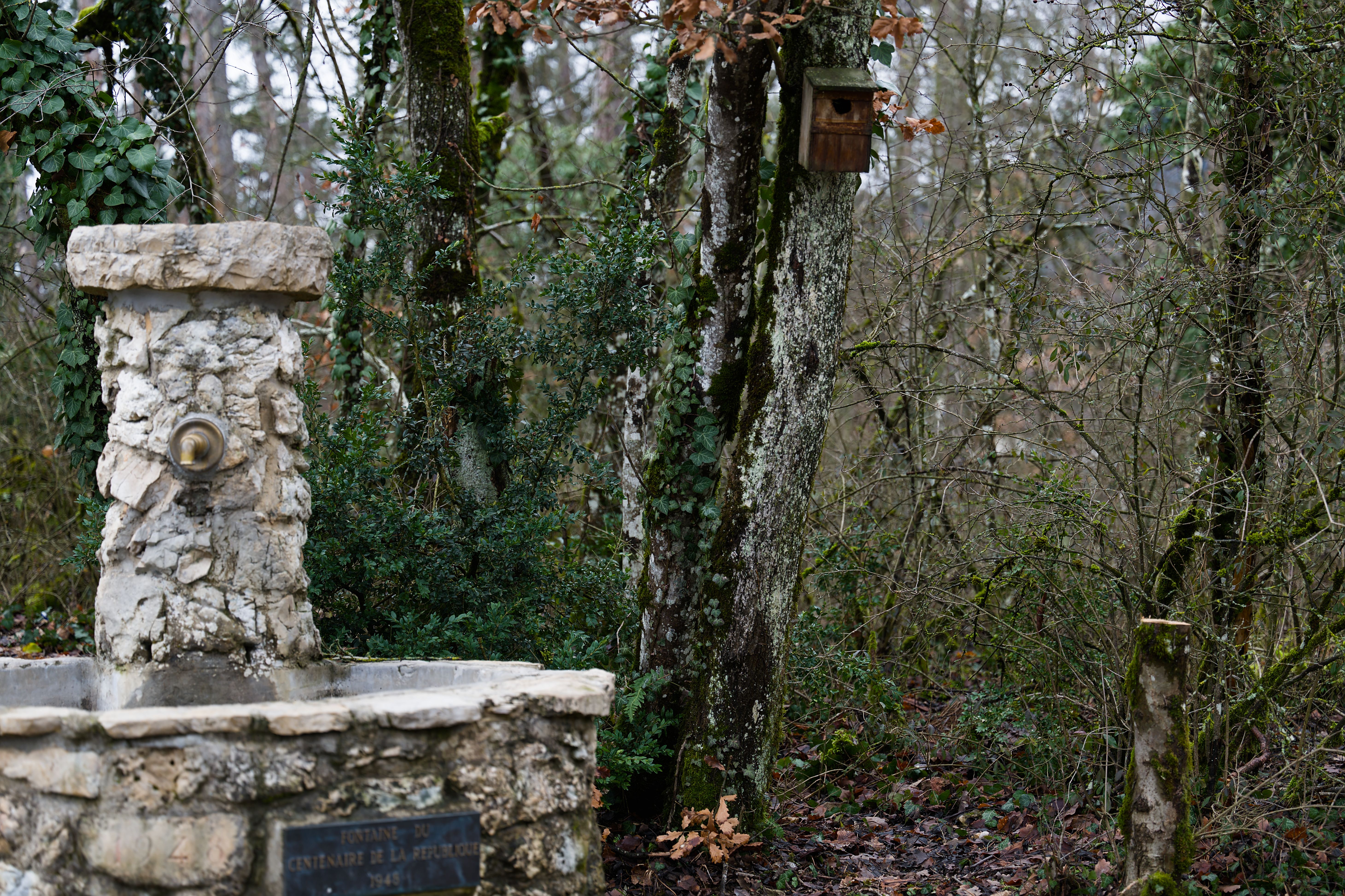 Tawnee Stone Photos, Download The BEST Free Tawnee Stone Stock Photos ...