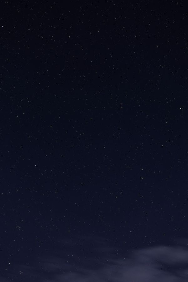 Night Sky Pfp Photos, Download The BEST Free Night Sky Pfp Stock Photos ...