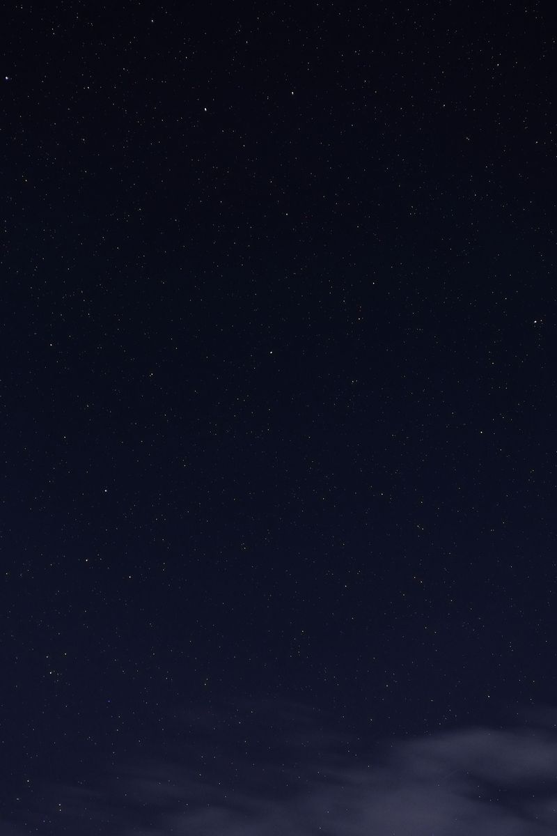 Night Sky Pfp Photos, Download The BEST Free Night Sky Pfp Stock Photos ...