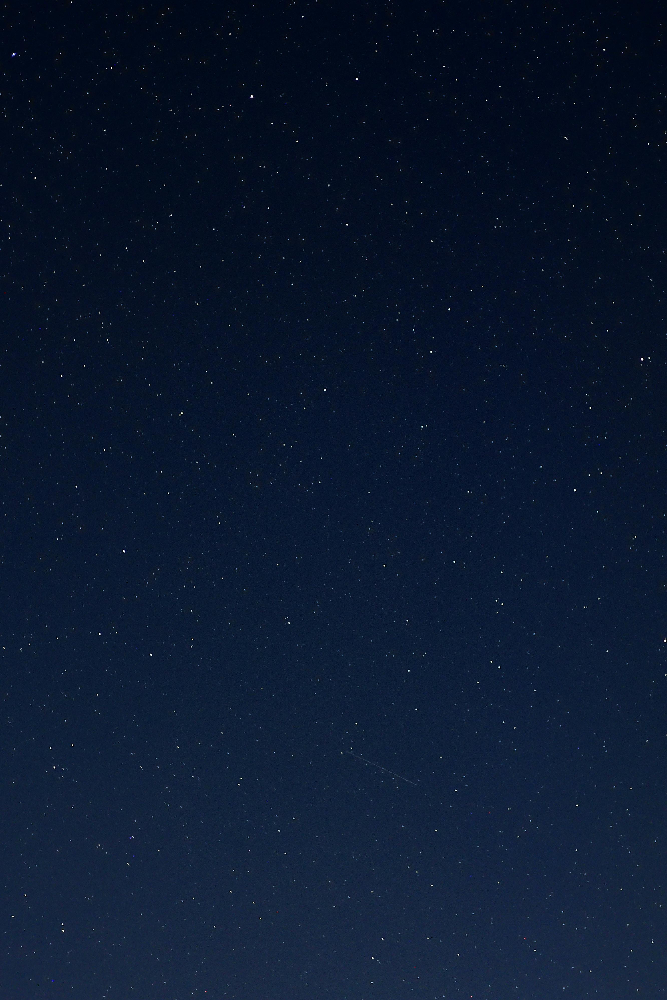 Jennifer+Harrison+Body Photos, Download The BEST Free Jennifer+Harrison ...