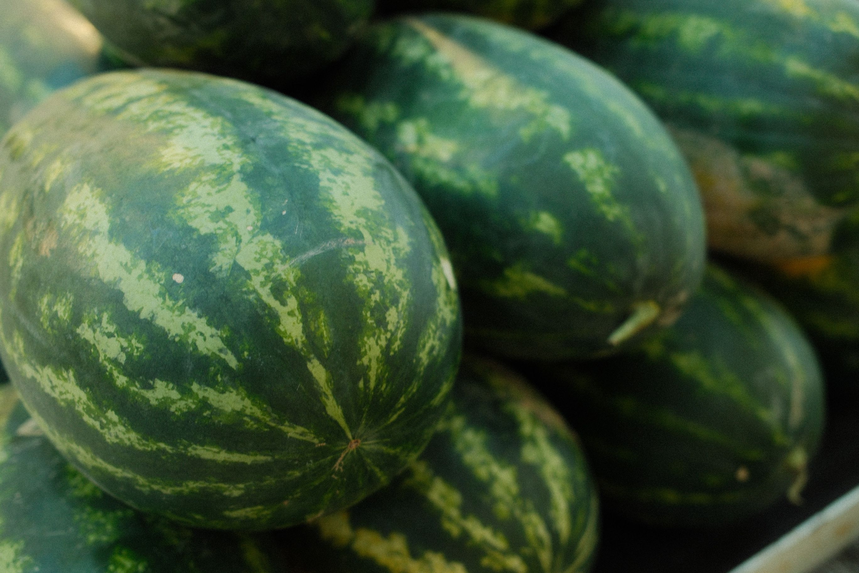 Refreshing Food For Summer Photos, Download The BEST Free Refreshing ...
