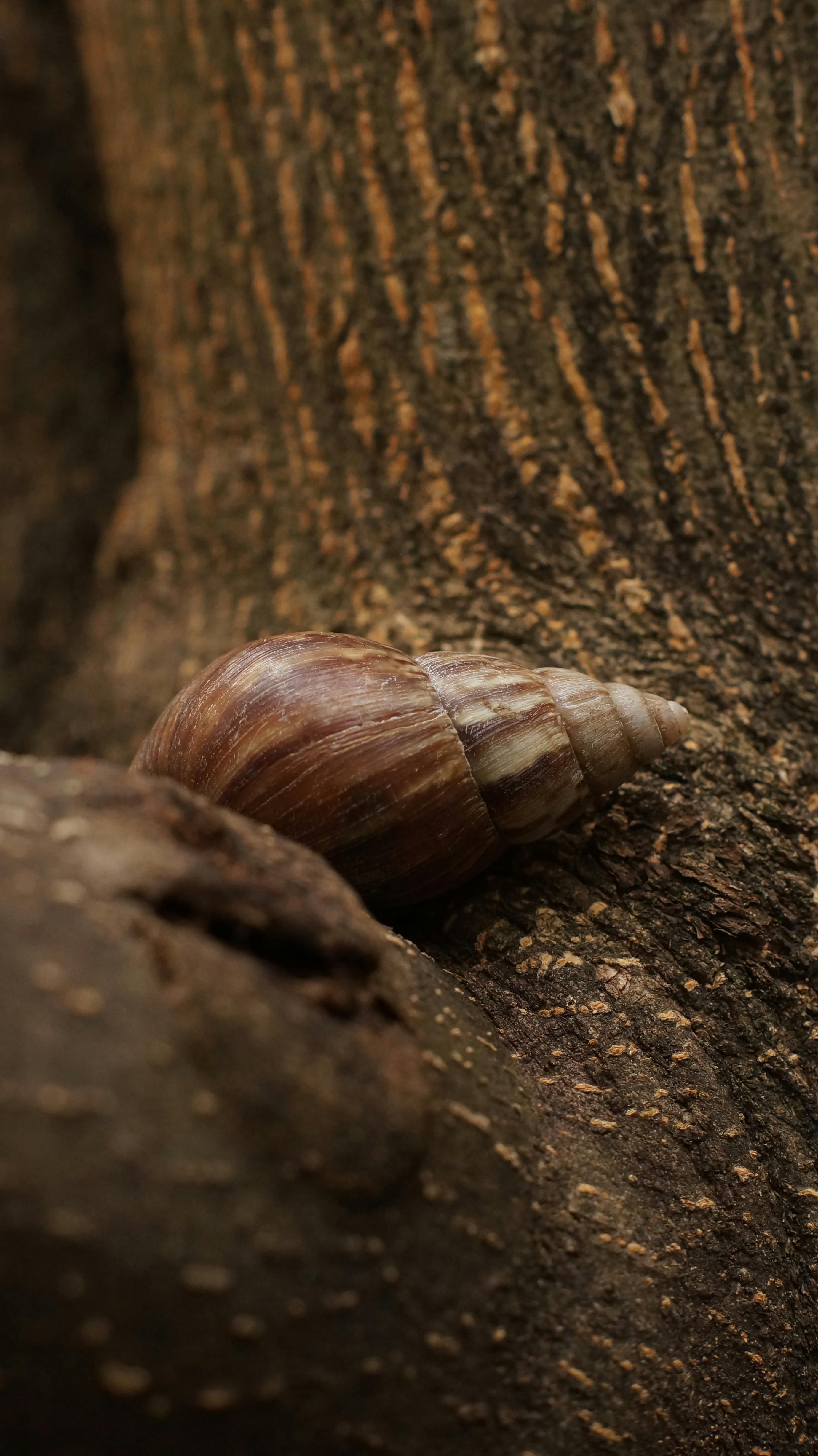 Slow Photos, Download The BEST Free Slow Stock Photos & HD Images