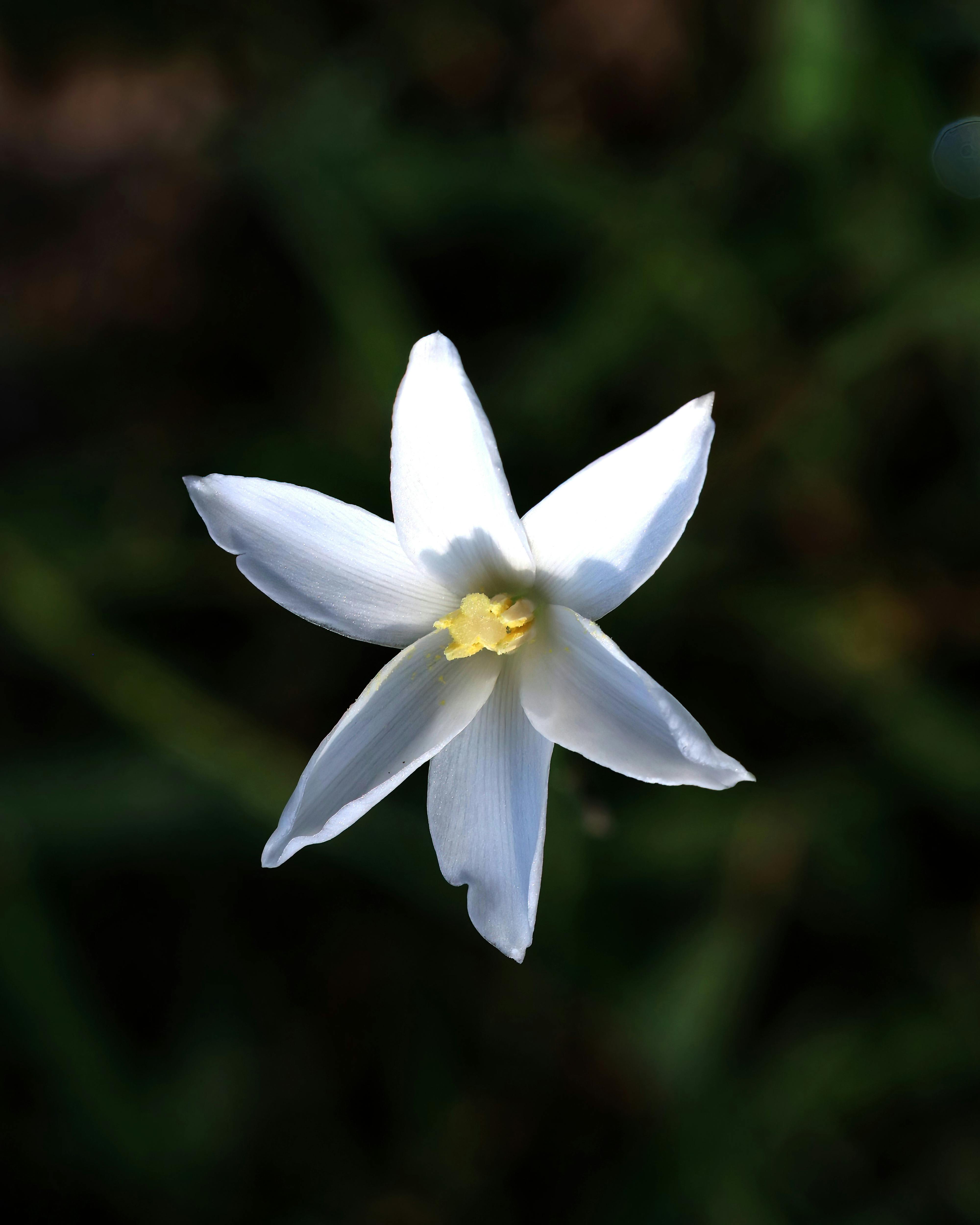 Rabbit+Pointing+At+Clock+Meme Photos, Download The BEST Free Rabbit ...