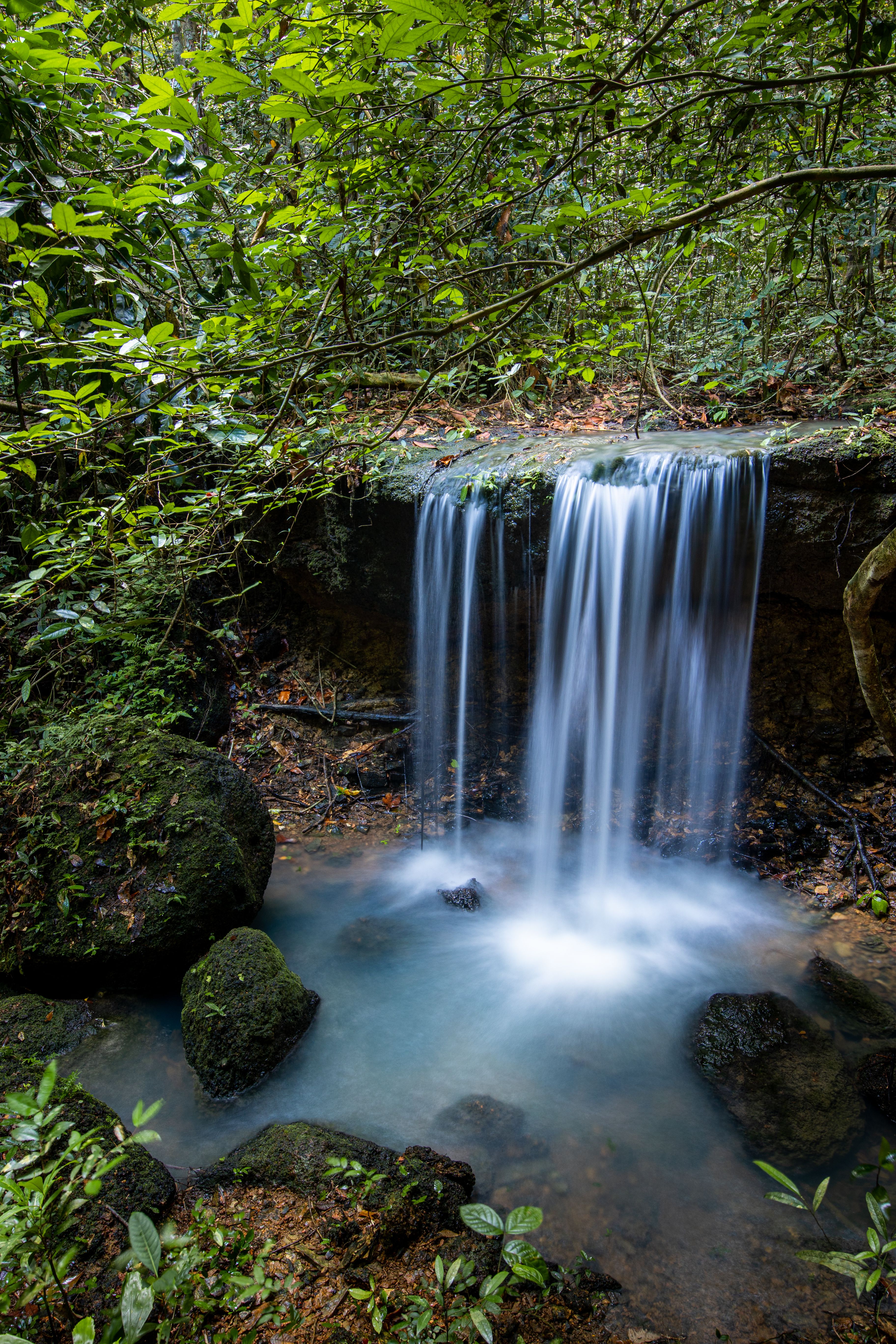 Bluey Waterfall Photos, Download The BEST Free Bluey Waterfall Stock ...
