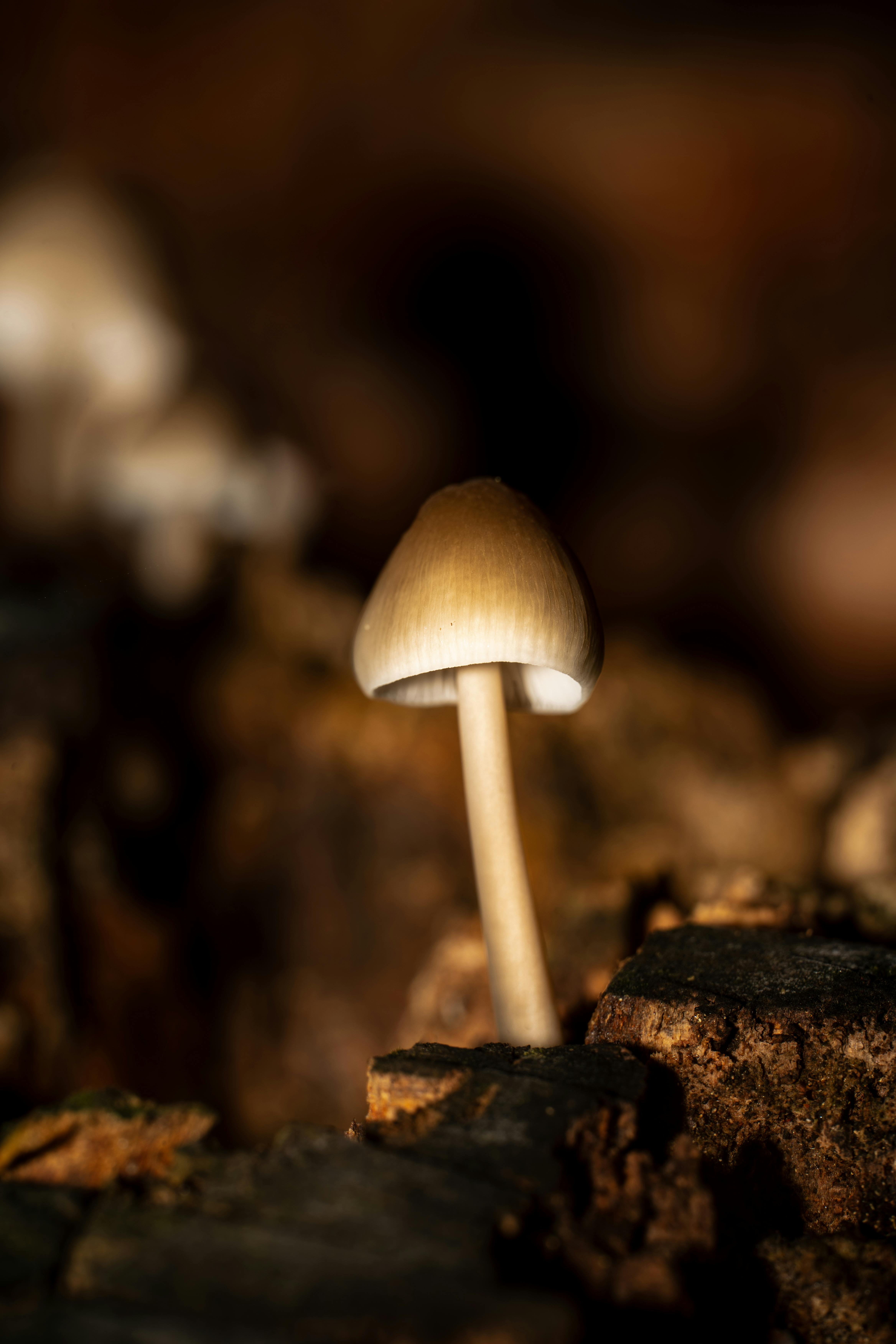 22.561+ Fotos y Imágenes de Mujeres+en+calzones Gratis · Banco de Fotos ...