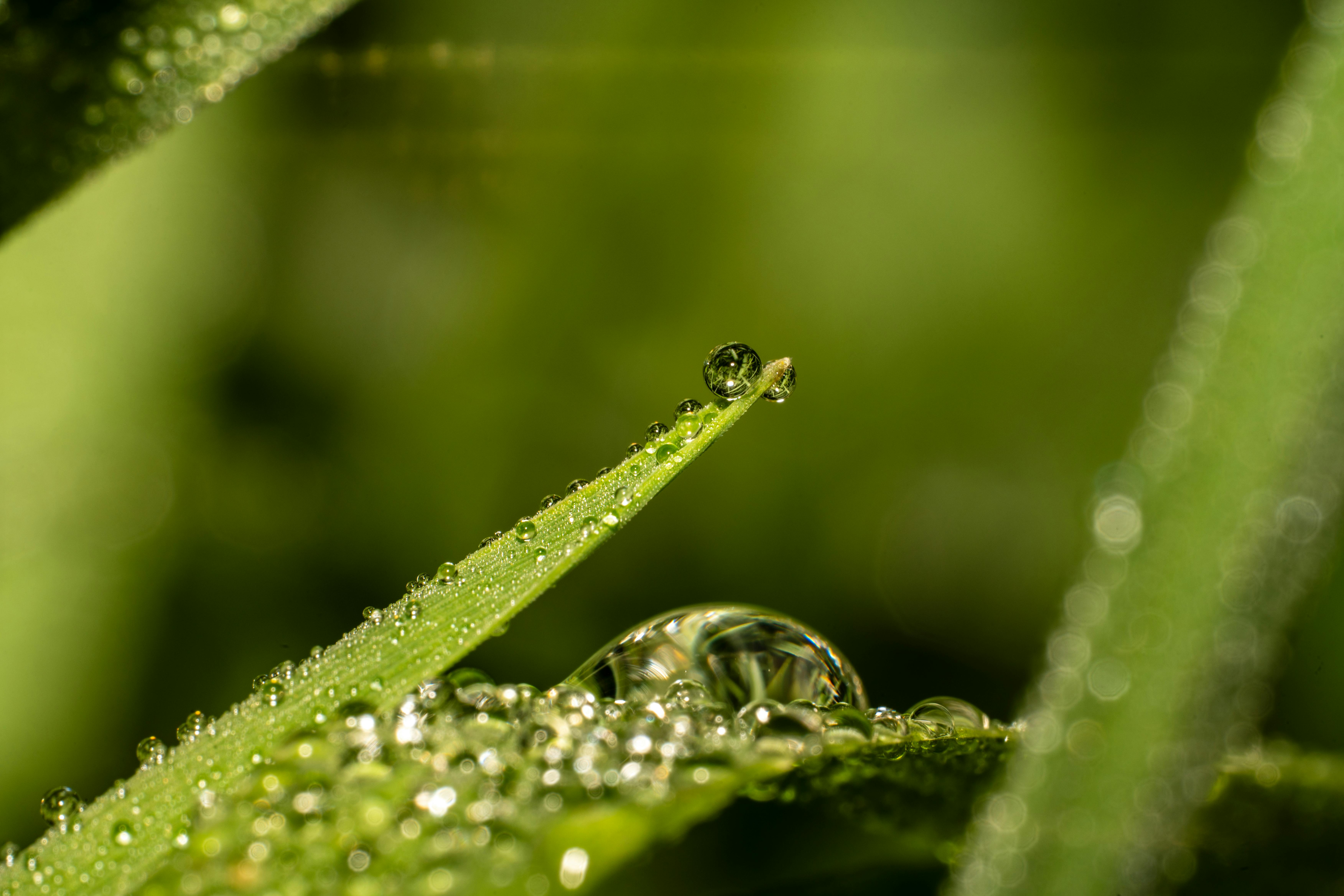 22.561+ Fotos y Imágenes de Mujeres+en+calzones Gratis · Banco de Fotos ...