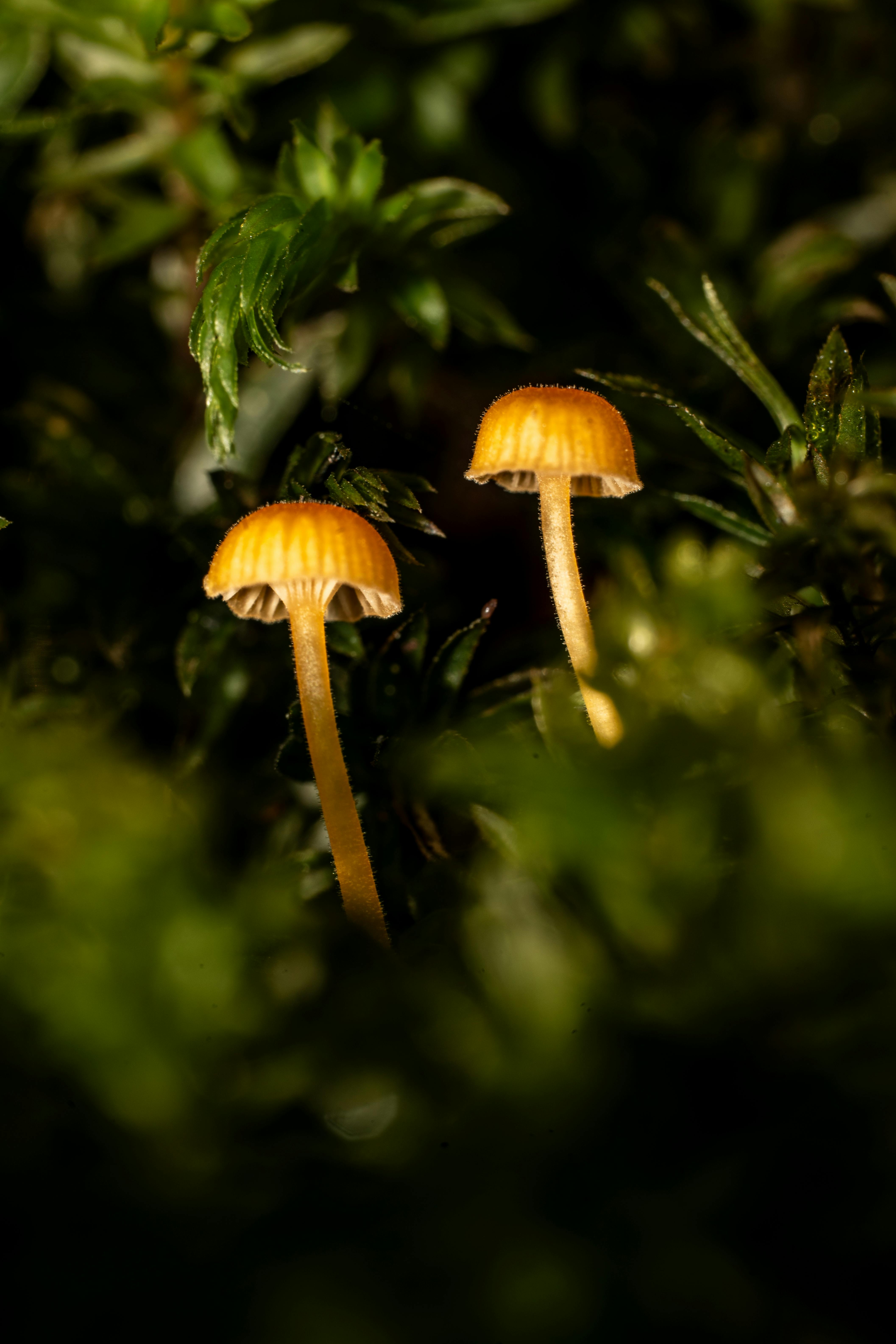 22.561+ Fotos y Imágenes de Mujeres+en+calzones Gratis · Banco de Fotos ...