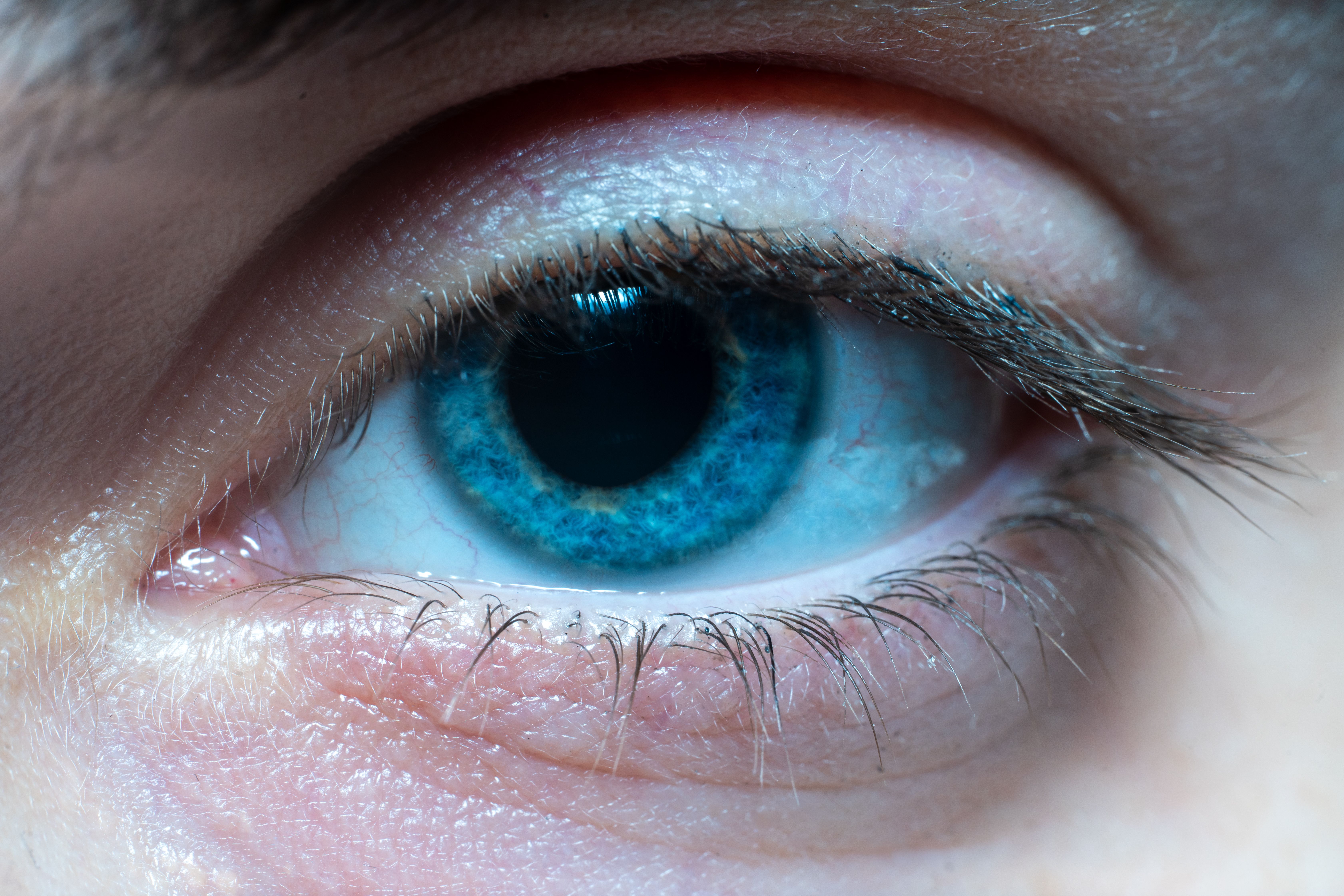 Sistema Optics Photos, Download The BEST Free Sistema Optics Stock ...
