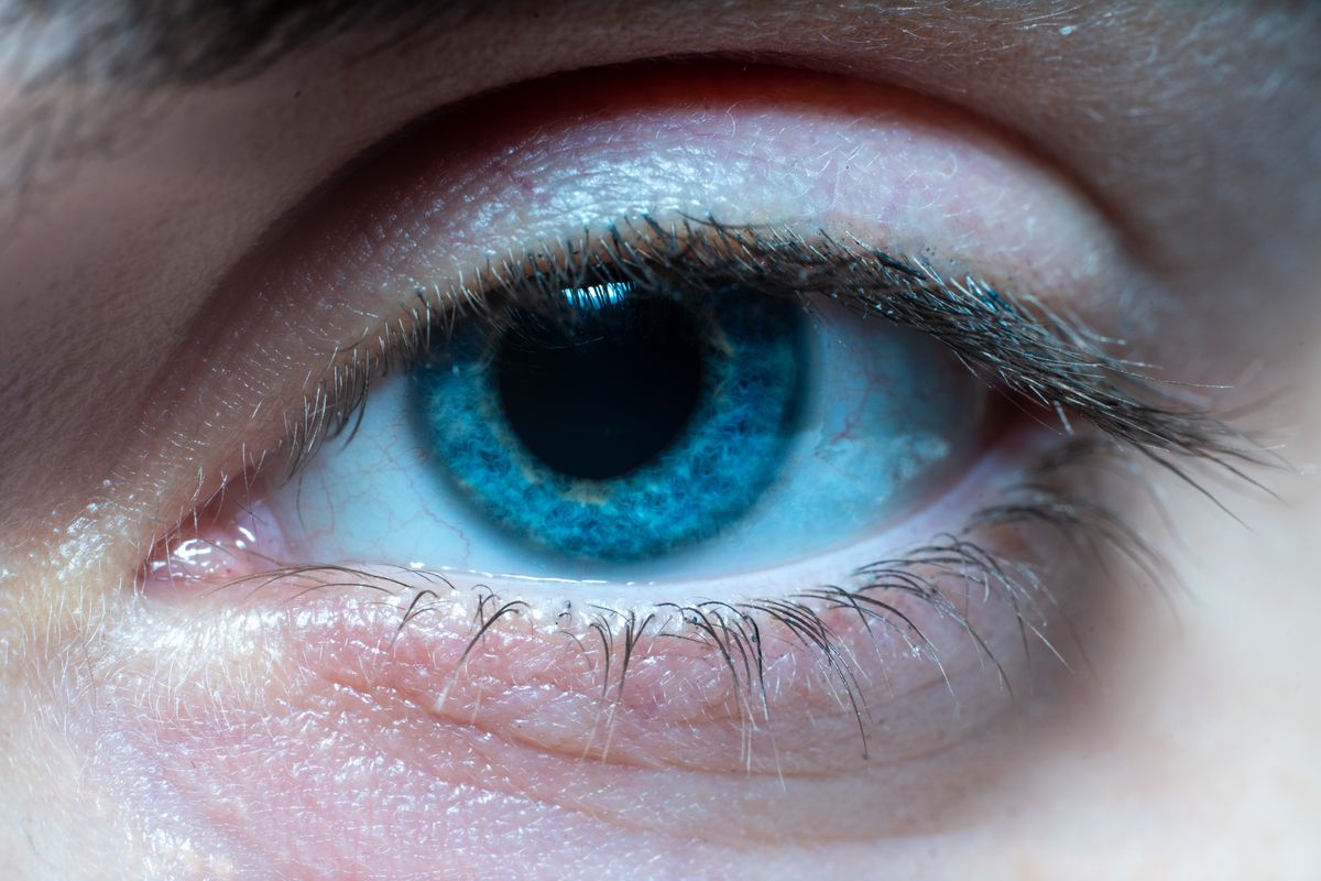 Blue Eyes Close Up Photos, Download The BEST Free Blue Eyes Close Up ...