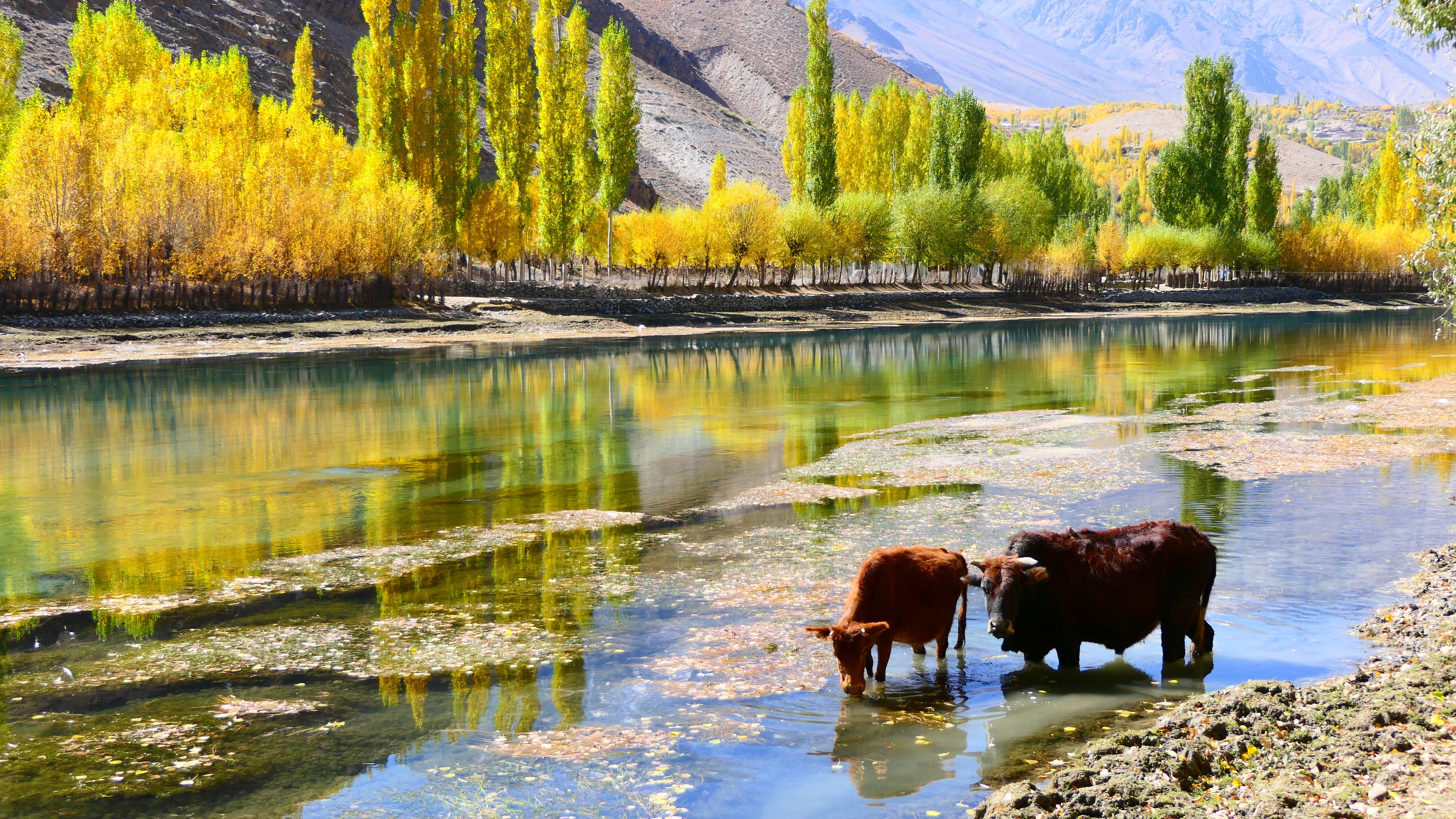 Serene Autumn Landscape in Gilgit-Baltistan · Free Stock Photo