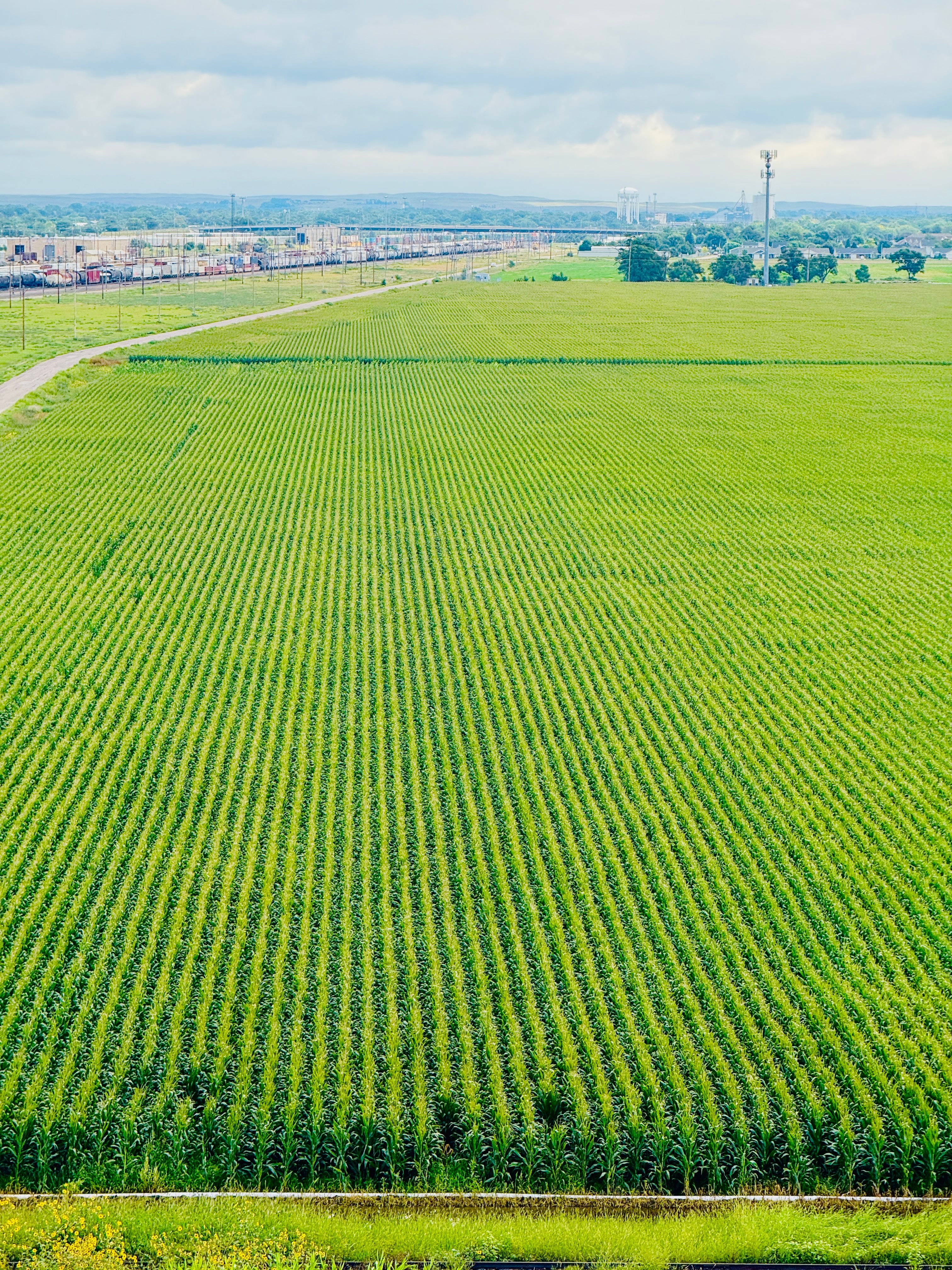 Lush Green Cornfield Under Cloudy Sky in Nebraska · Free Stock Photo